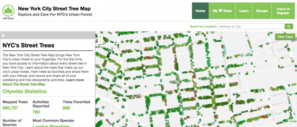 New York City Mapped All of its Trees and Calculated the Economic ...