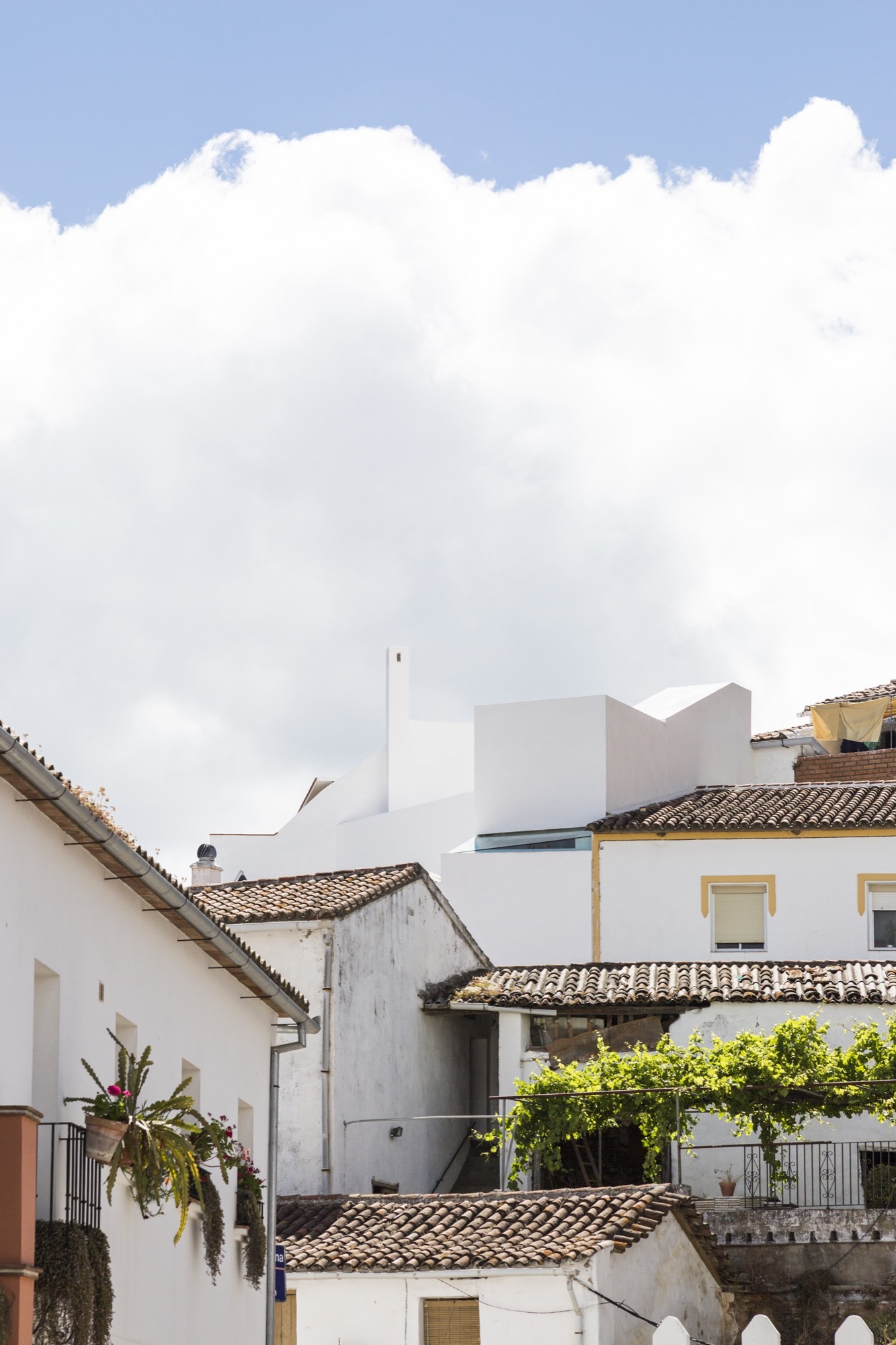 Gallery of Graham and Angus House / DTR_studio architects - 9