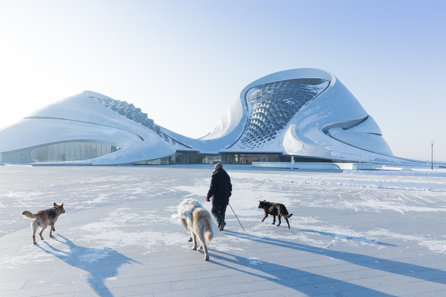 Spotlight: Ma Yansong | ArchDaily