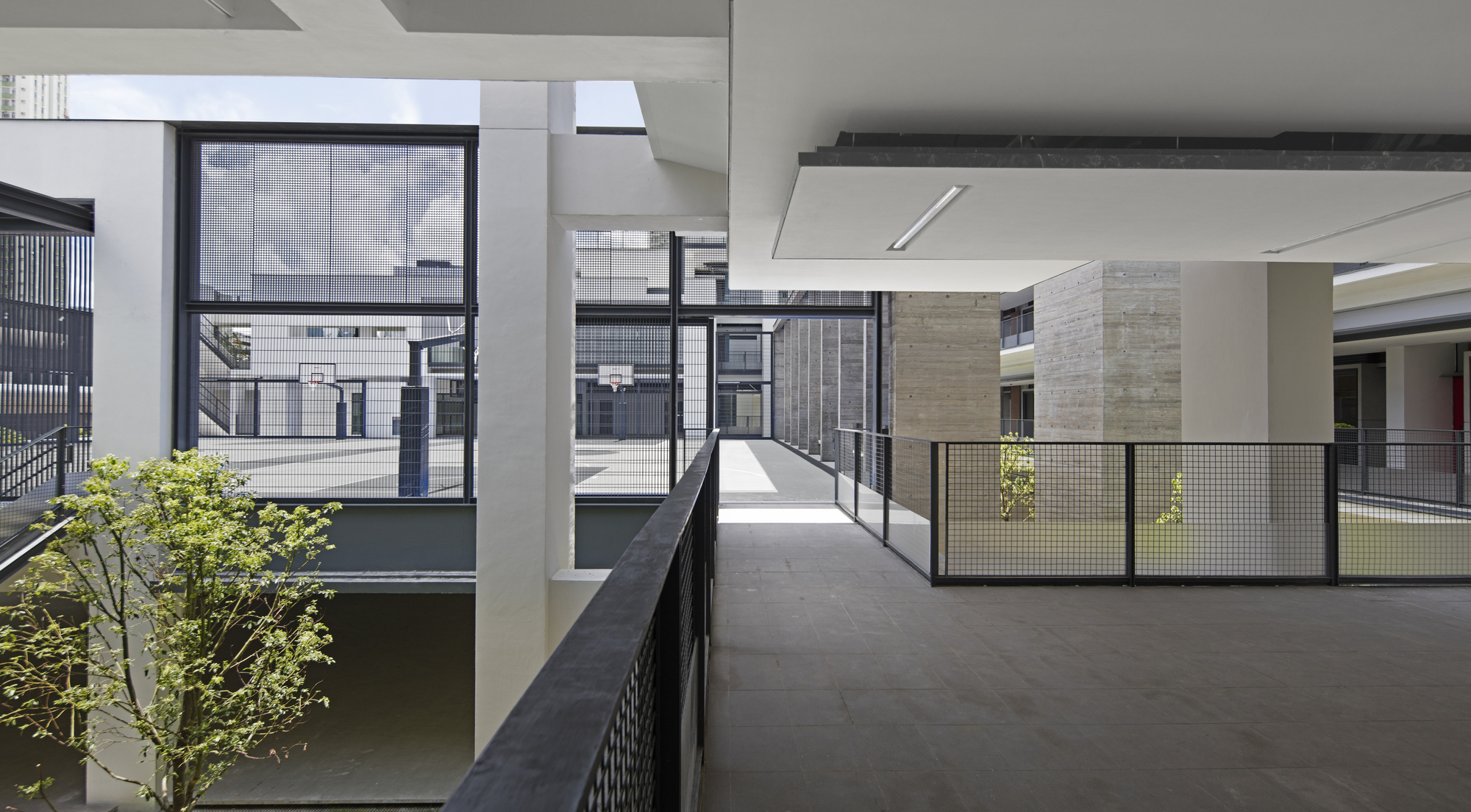 Gallery of Kai Tak Primary School / ArchSD - 13