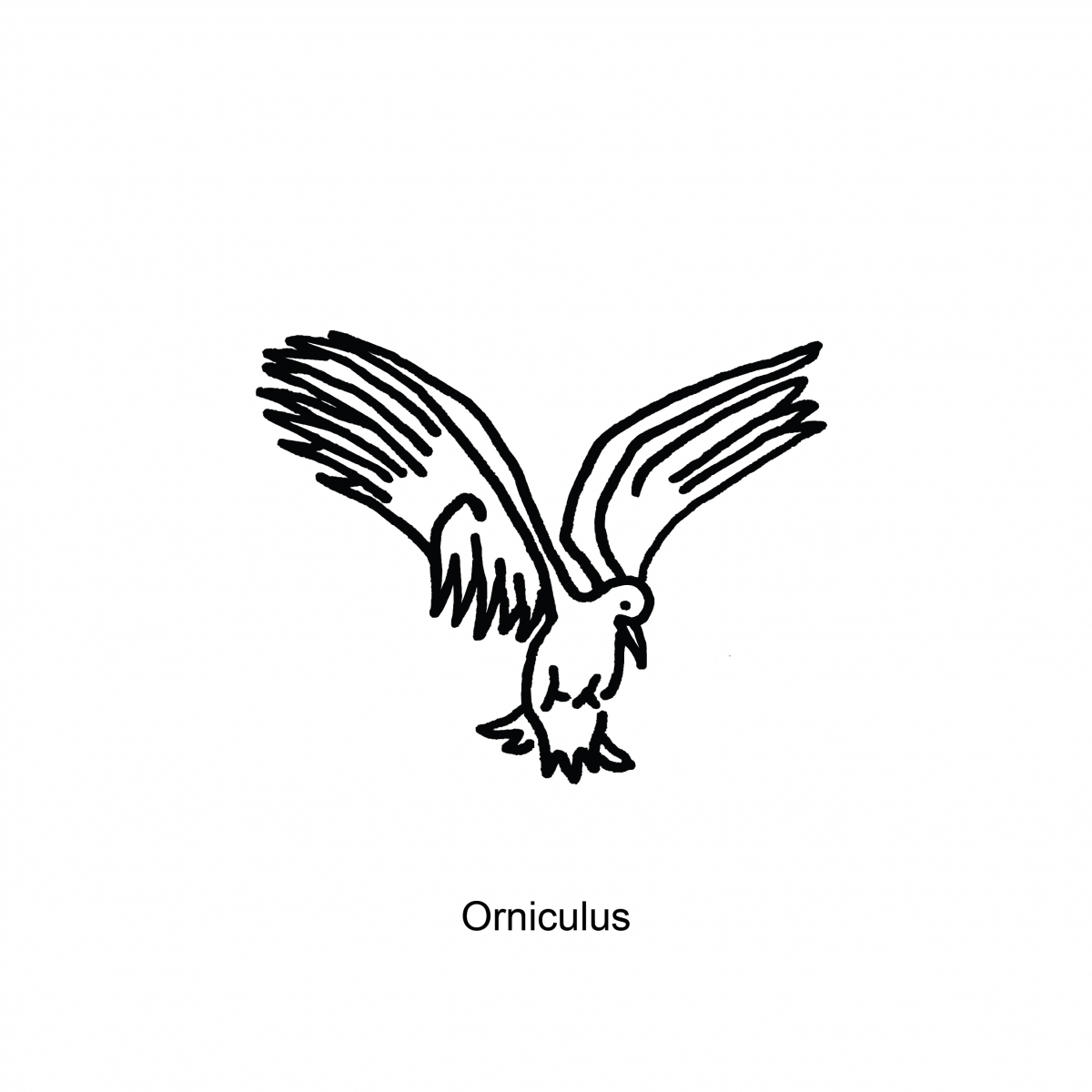 Gallery of These Sketches Show Calatrava's Oculus Interpreted as ...