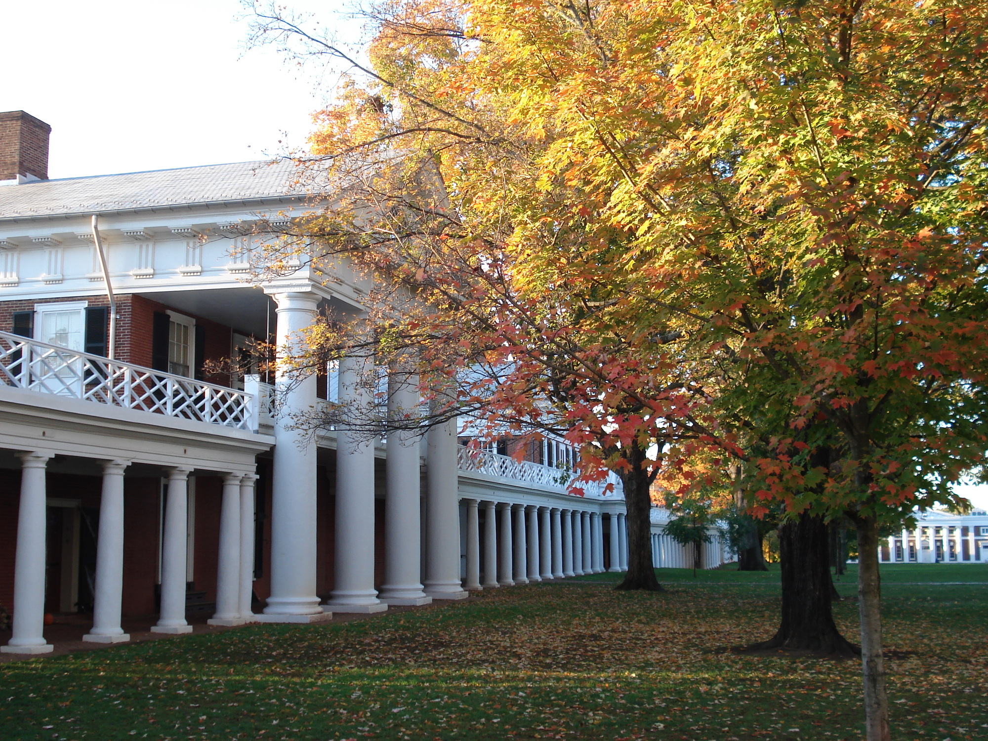 Gallery of AD Classics: University of Virginia / Thomas Jefferson - 21