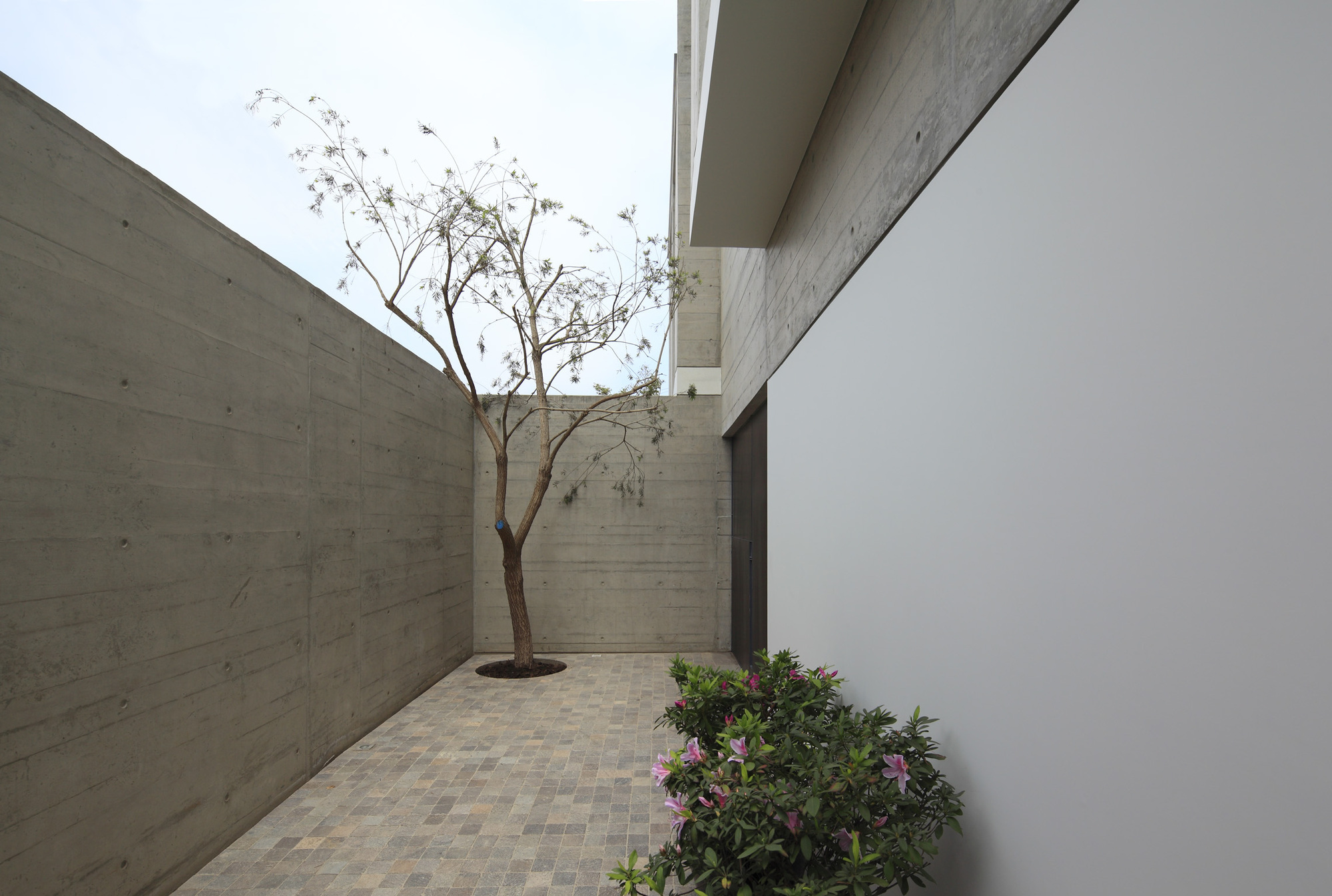 Gallery of 13 Stunning Inner Courtyards - 8