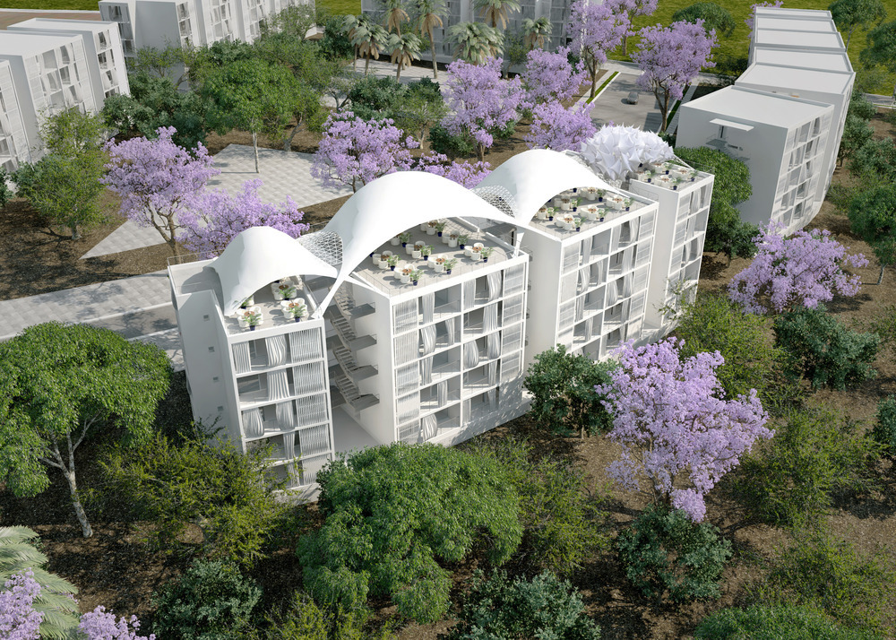 Gallery of 30-Hectare–Olive Grove Converted to Eco-Friendly Public ...