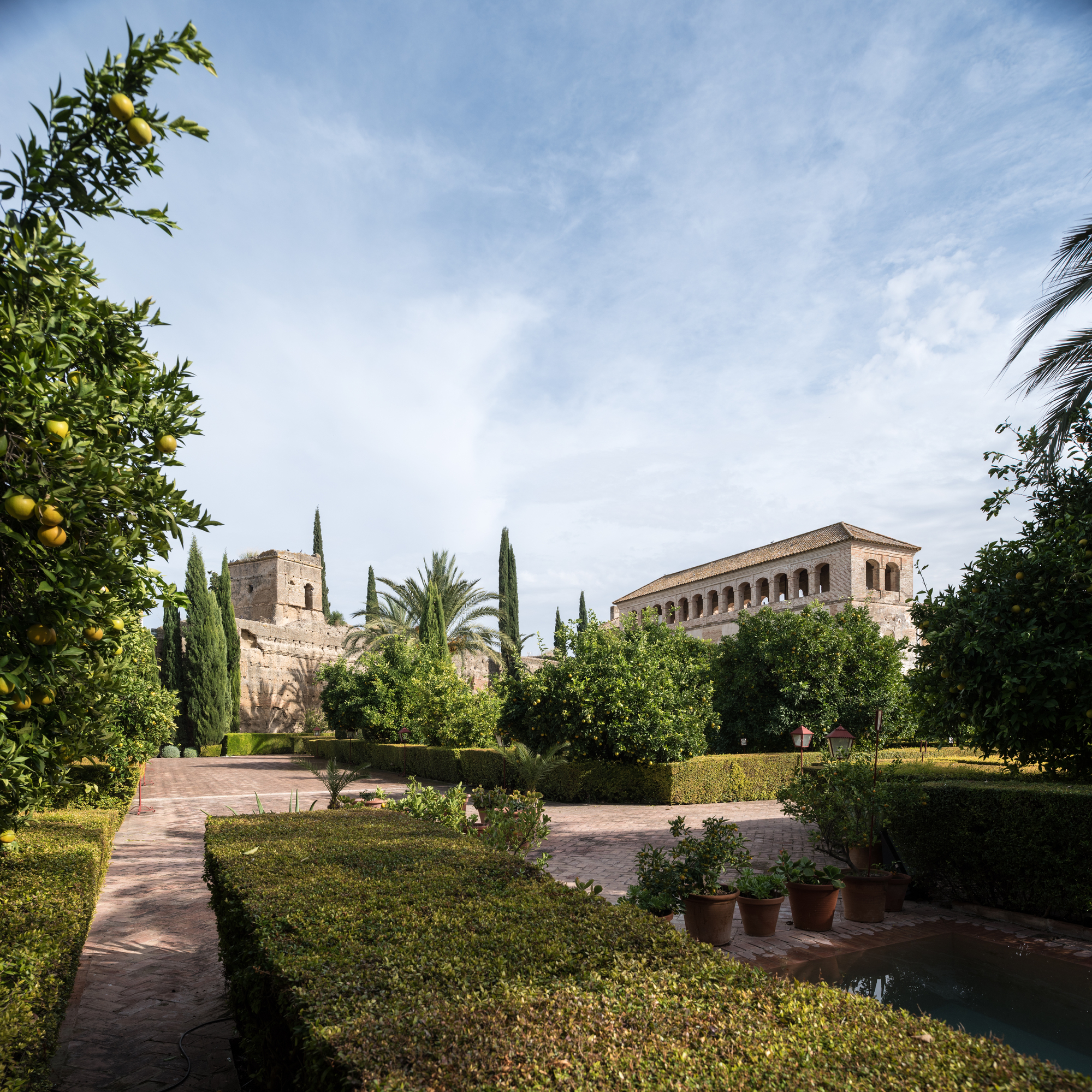 Gallery of Portocarrero Palace Restauration / César Egea + Antonio Raso ...