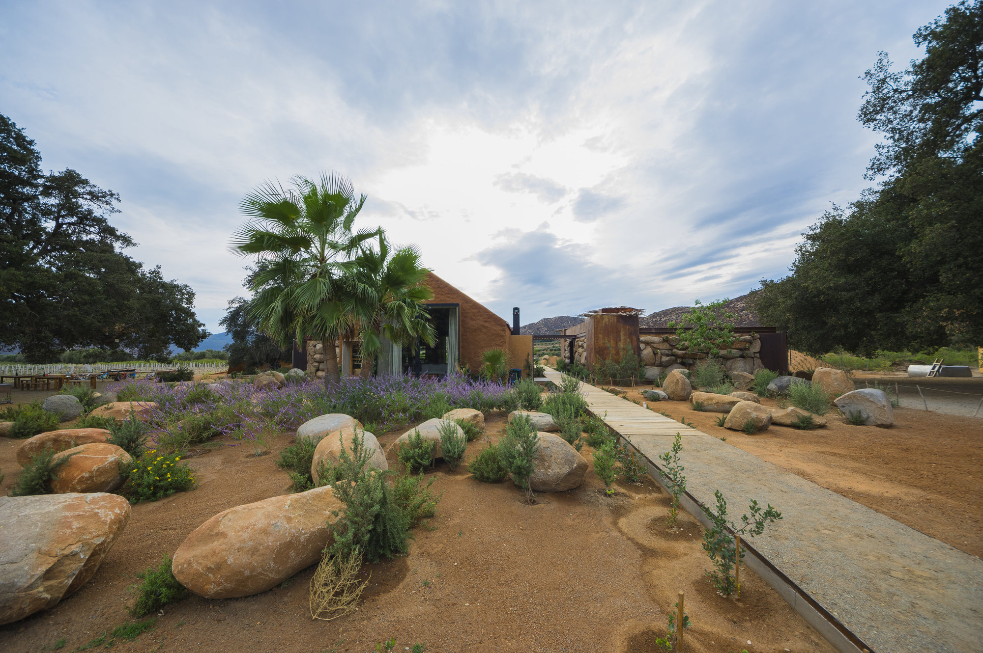 Gallery of House 8 in Bruma / Alejandro D' Acosta - 15