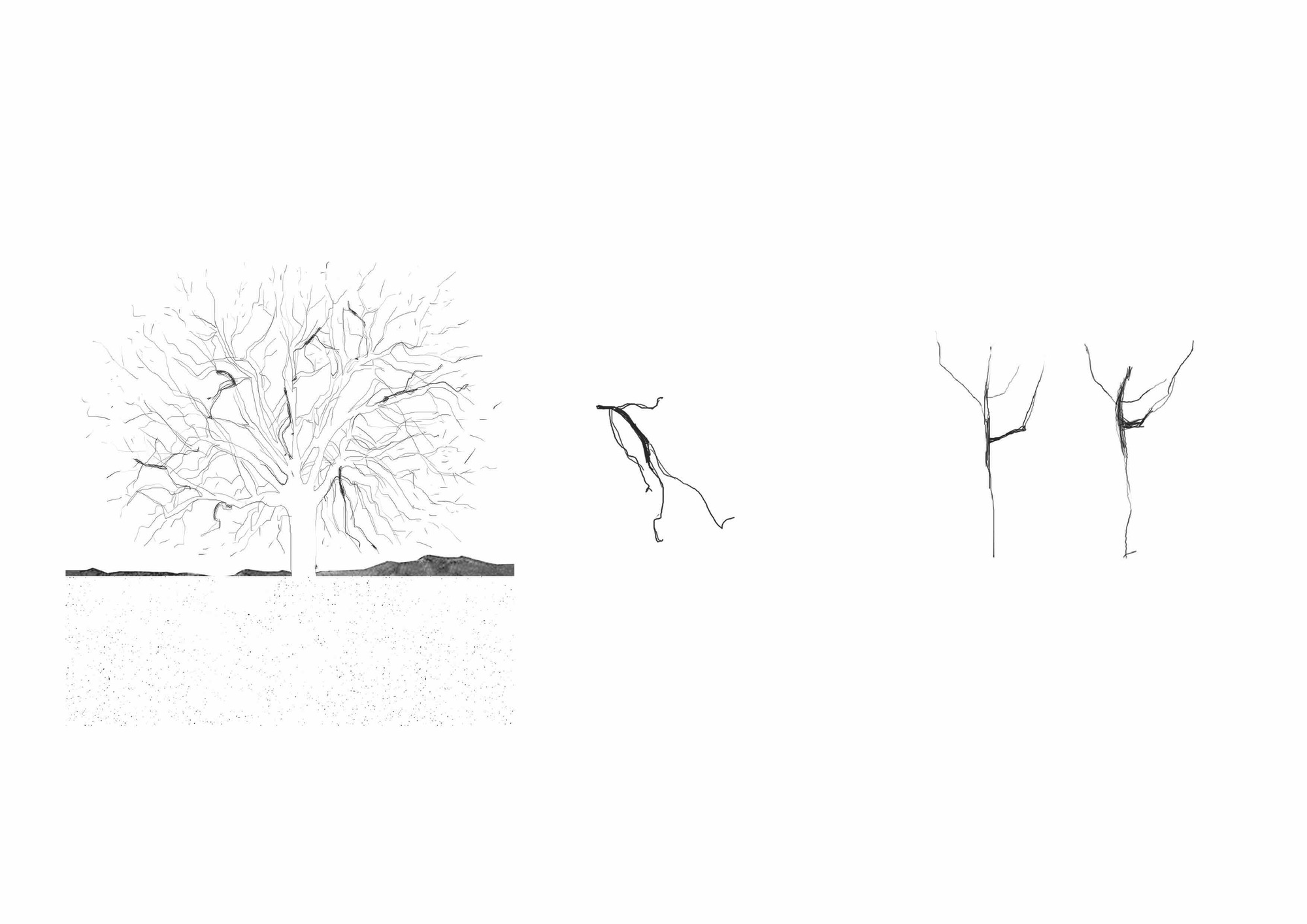 Gallery of Green Arena / Stradivarie Architetti Associati - 16