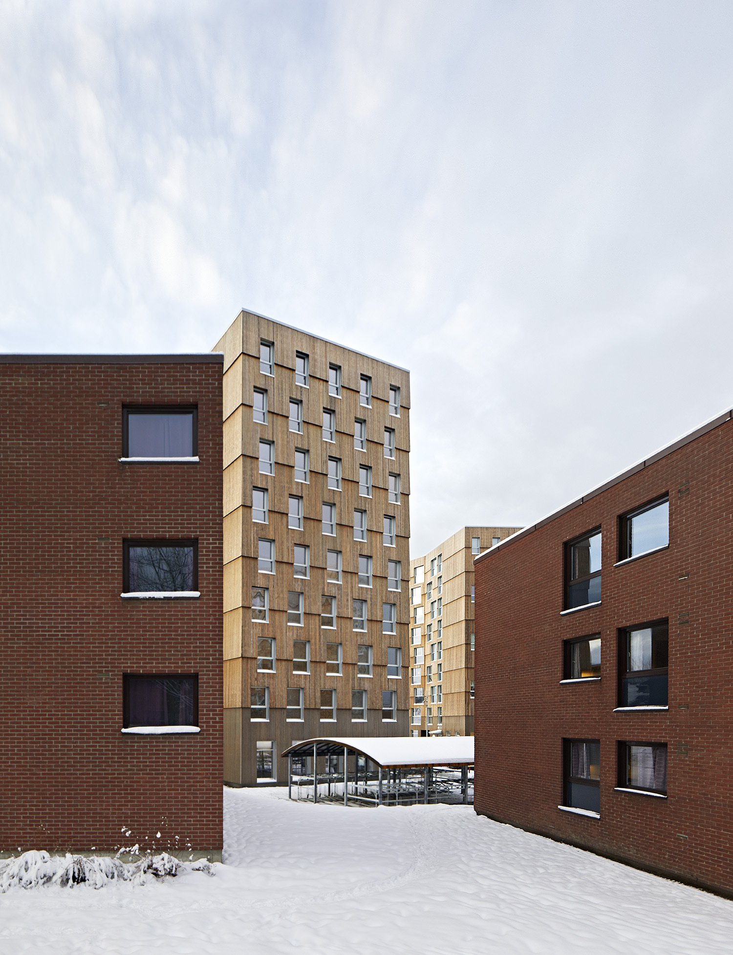 Galería de Torres de madera Moholt / MDH Arkitekter - 7