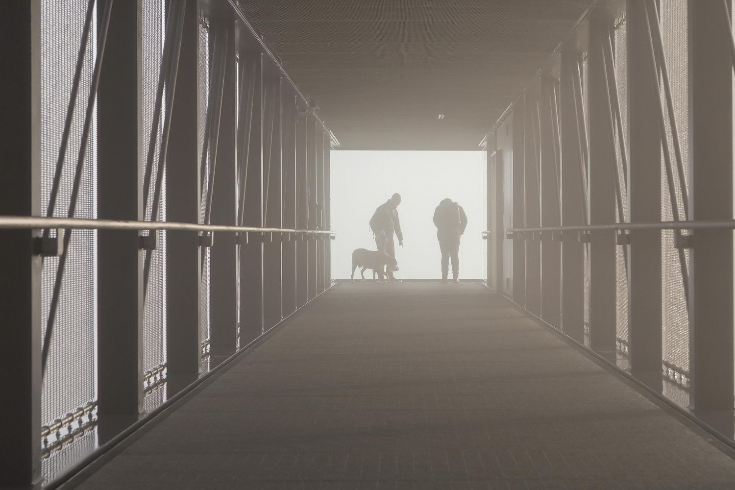 Gallery of Pfaffenthal Lift / STEINMETZDEMEYER - 5