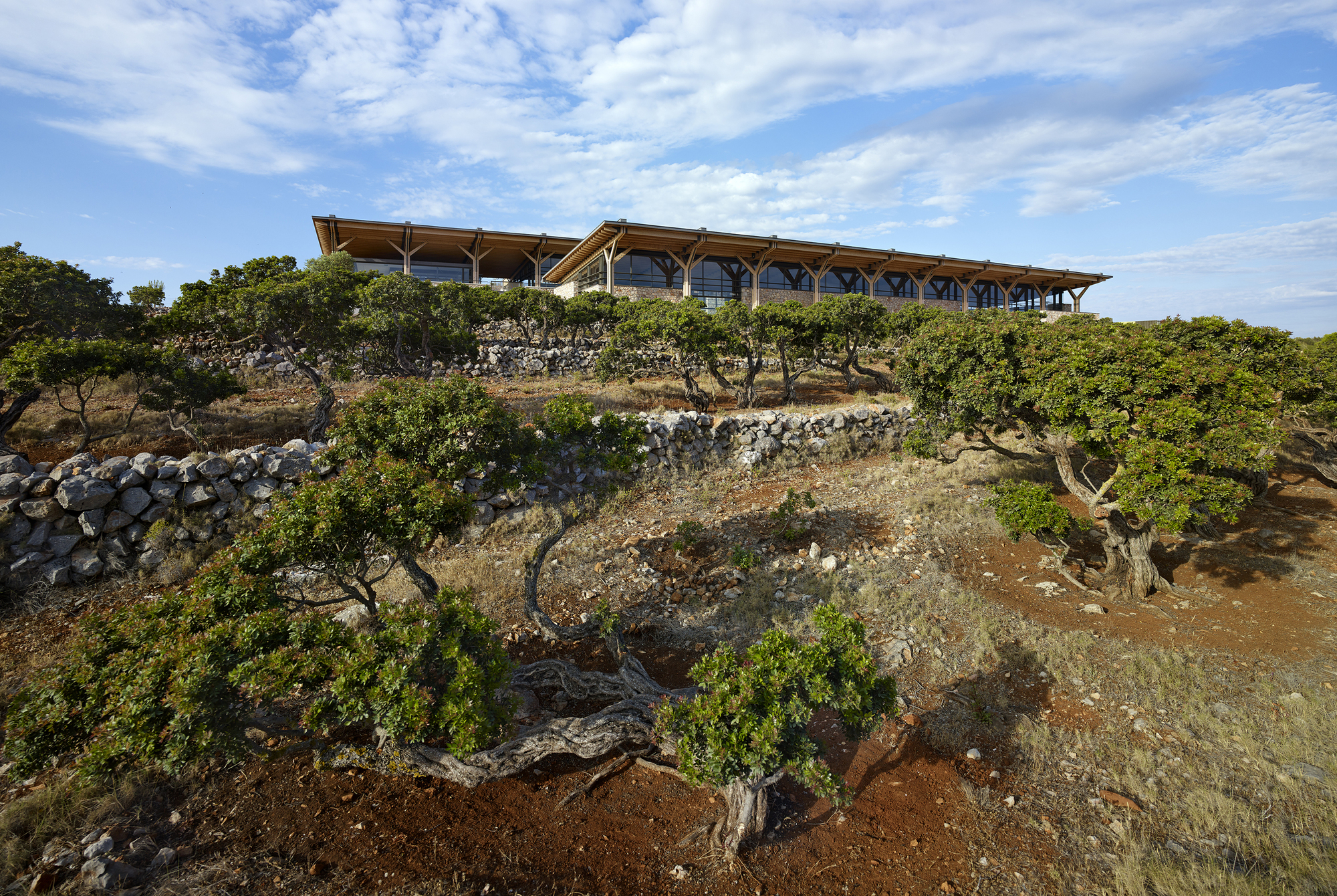 Gallery of Chios Mastic Museum / KIZIS STUDIO - 5