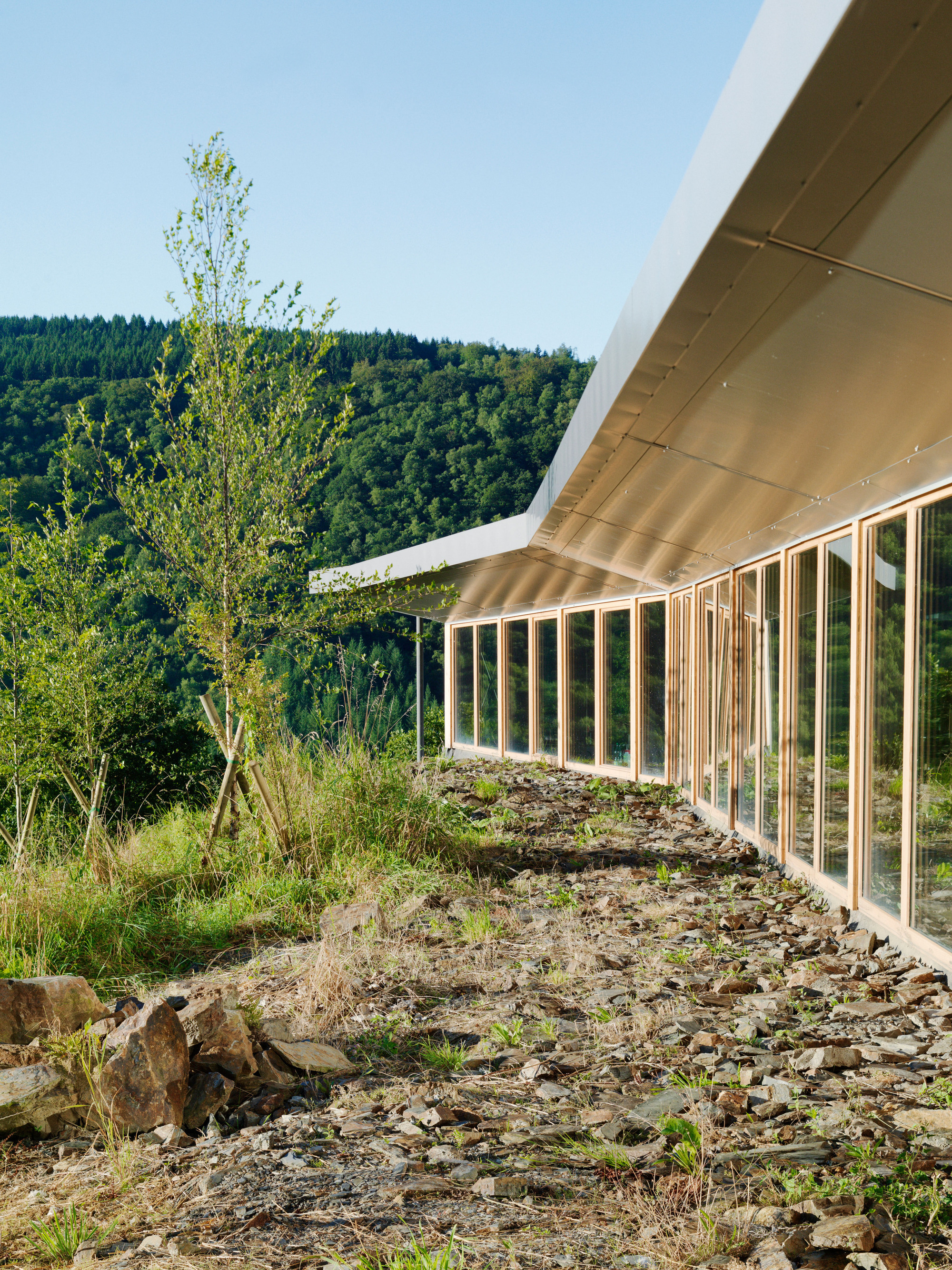 Gallery of Jean Moulin High School / Duncan Lewis Scape Architecture - 5