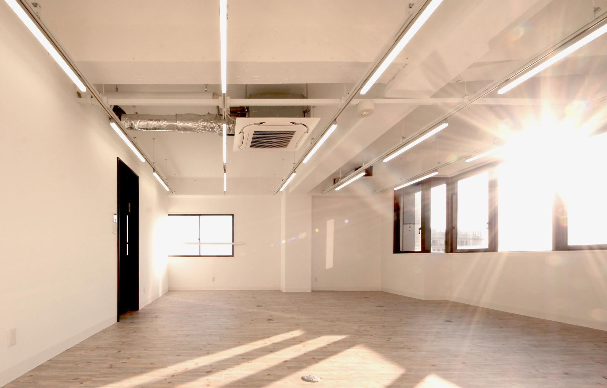 Gallery of TM Headquarters / Jun Murata - 12