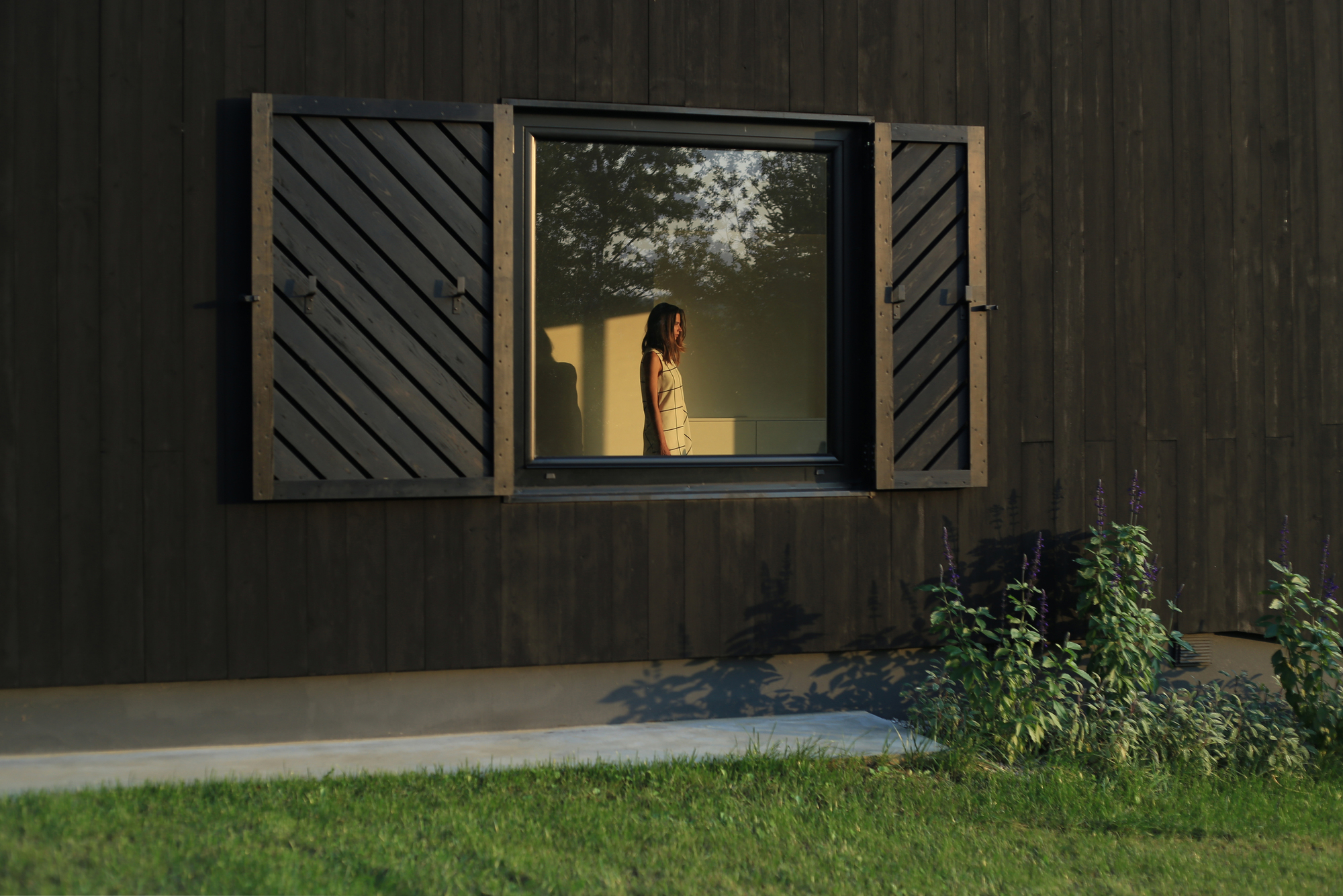 Gallery of Walnut Tree, House and Terrace / PRO-S - 12