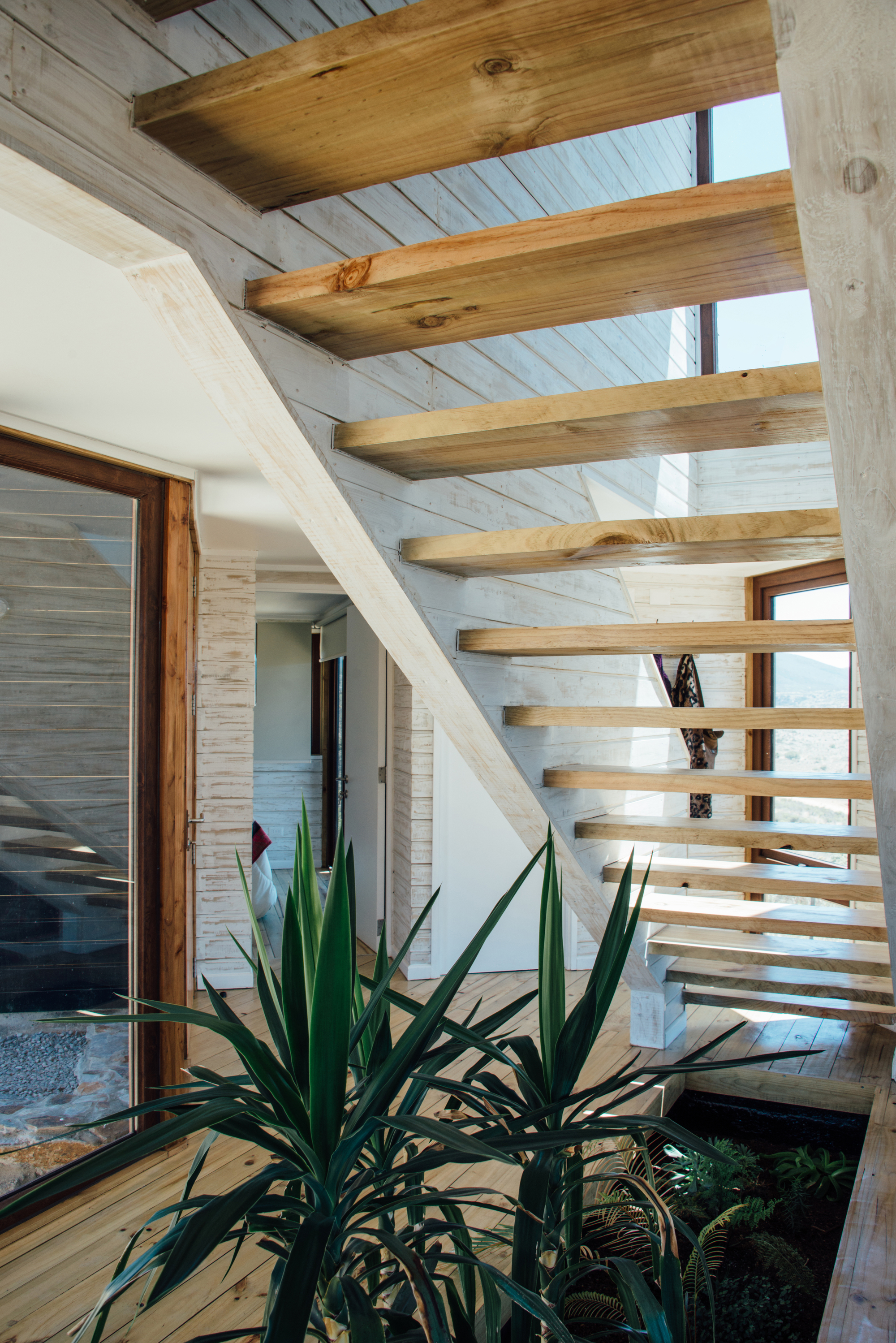 Gallery of Los Molles House / Thomas Löwenstein - 4