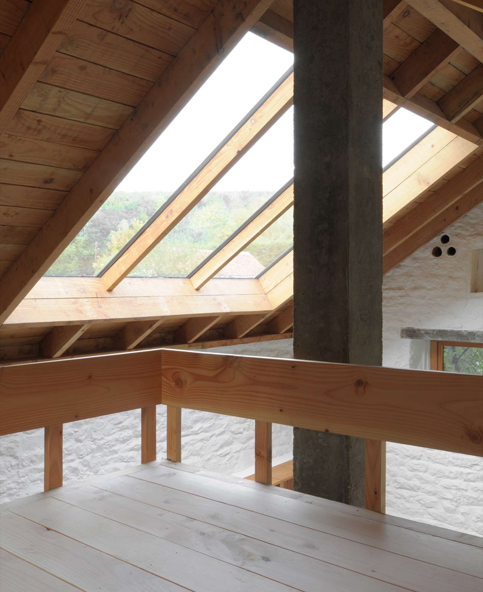 Gallery of Harewood Studio / Hugh Strange Architects - 3