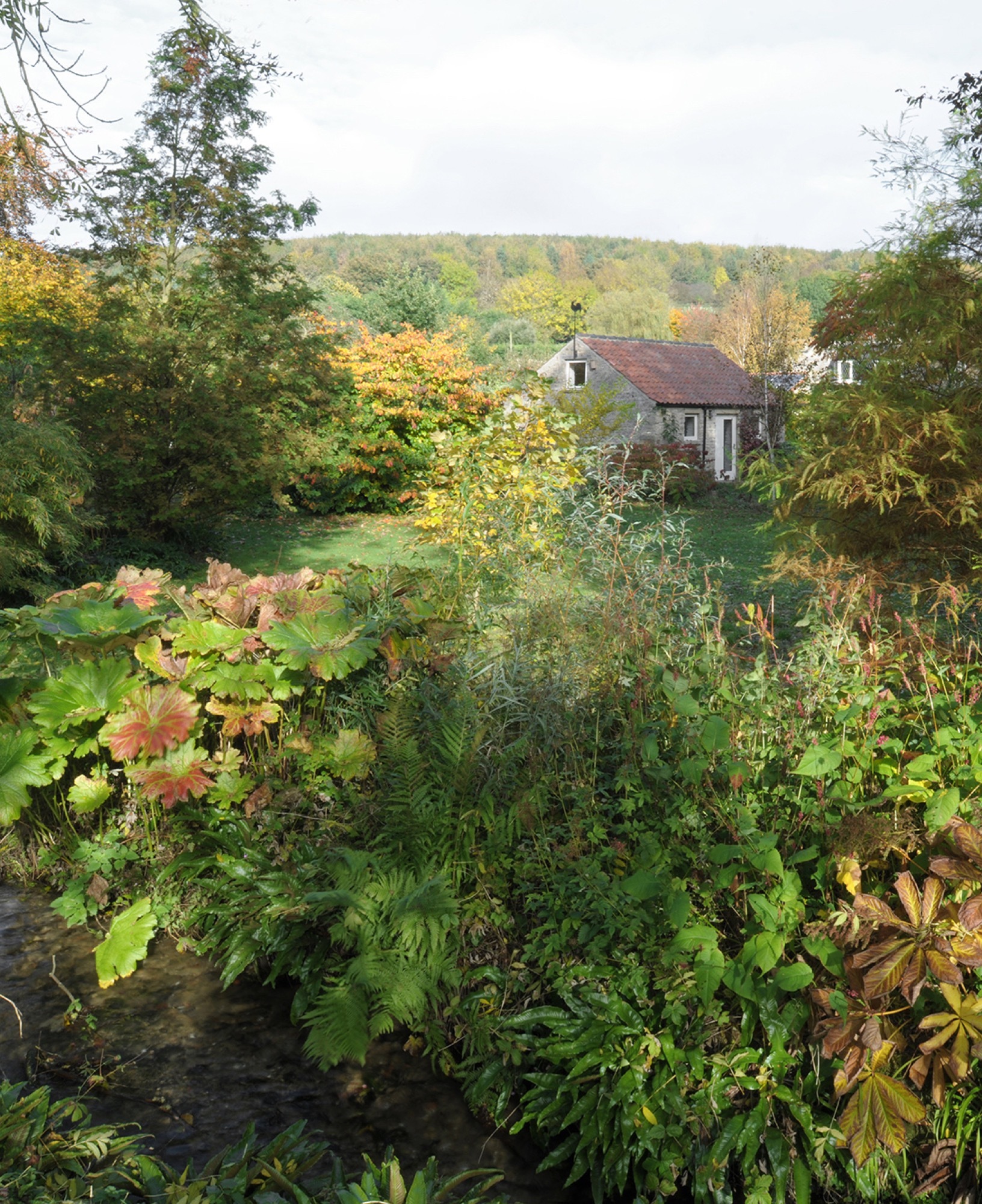 Gallery of Harewood Studio / Hugh Strange Architects - 7