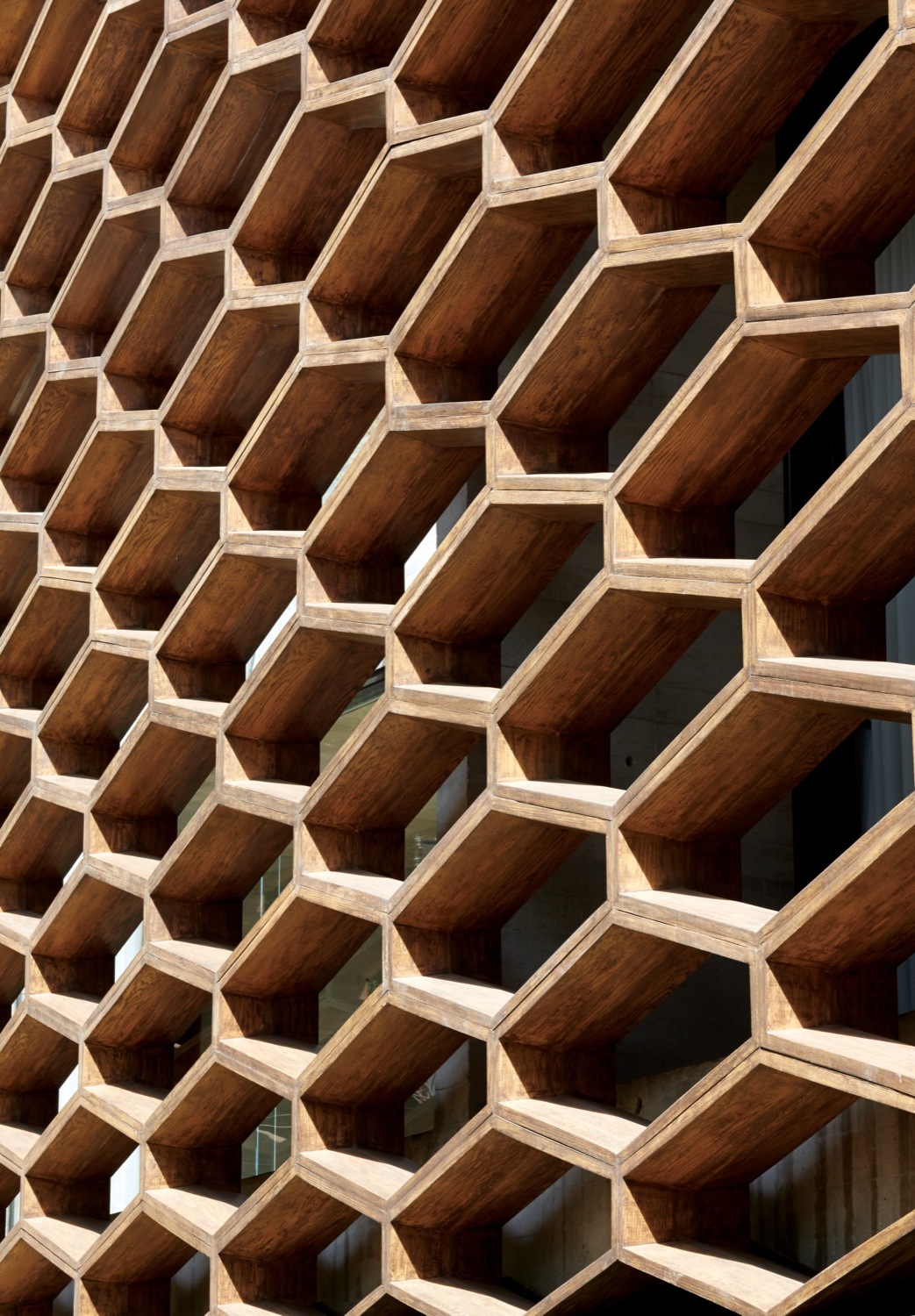 Galería de Casa Roel / Isaac Broid + Felipe Assadi + Francisca Pulido - 14