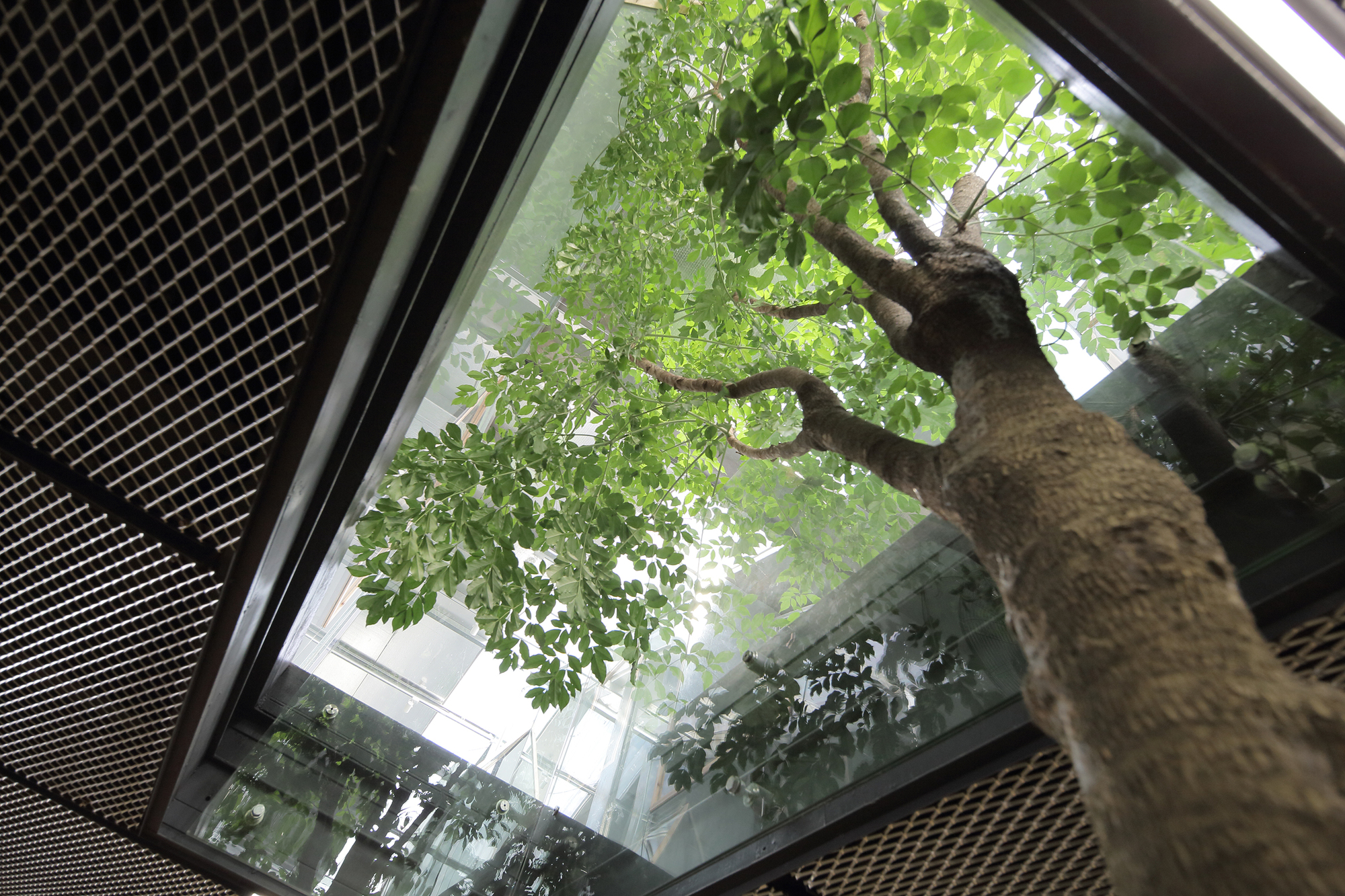 Gallery of Work-Studio in a Plant-House / O-office Architects - 11