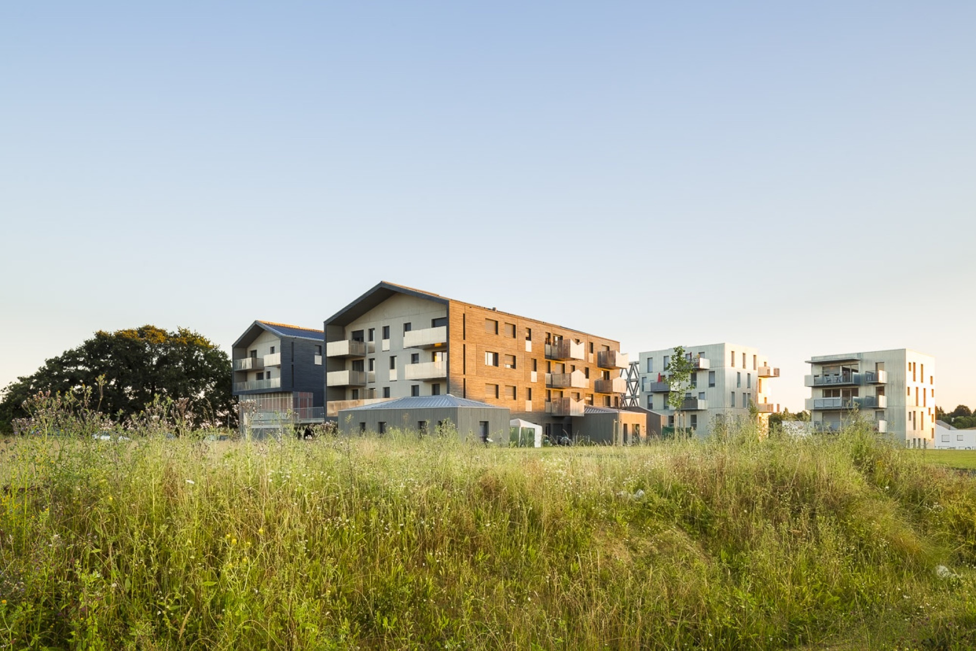 Gallery of LE RHEU / PETITDIDIERPRIOUX Architects - 39