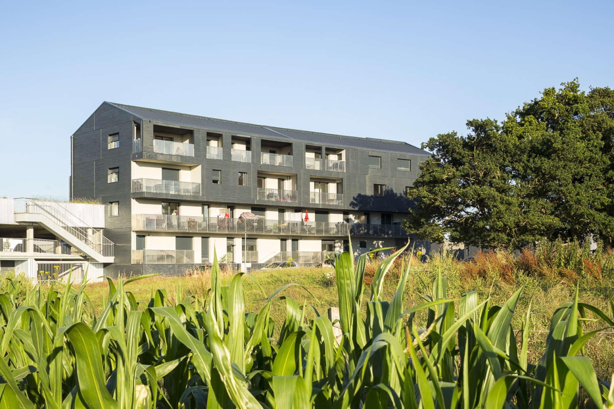 Gallery of LE RHEU / PETITDIDIERPRIOUX Architects - 31