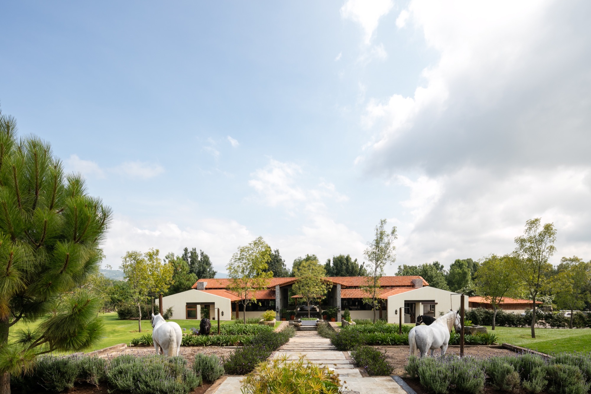 Galeria de Rancho La Stella / AE Arquitectos - 4