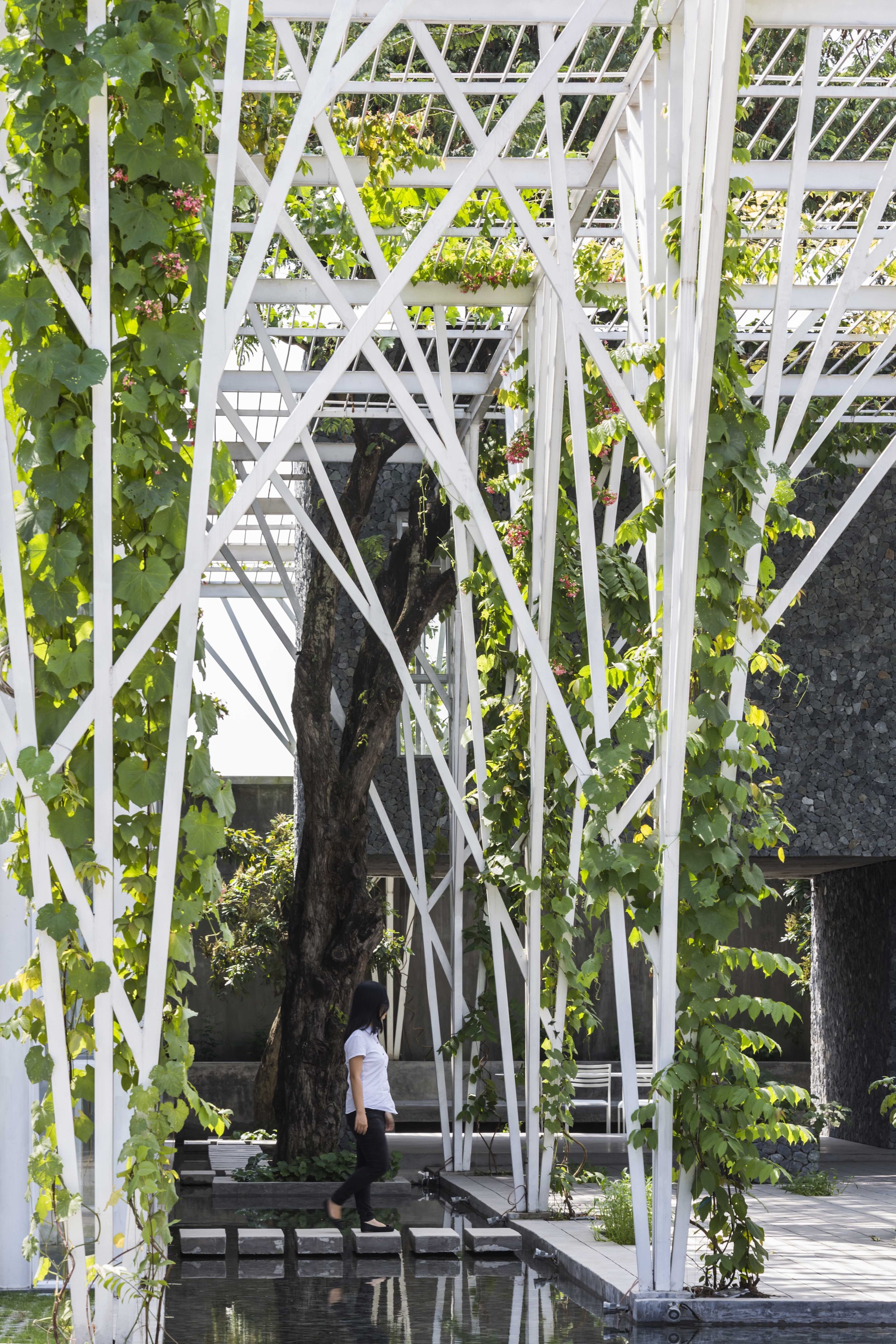 Galeria de Pérgolas Vegetalizadas / Cong Sinh Architects - 11