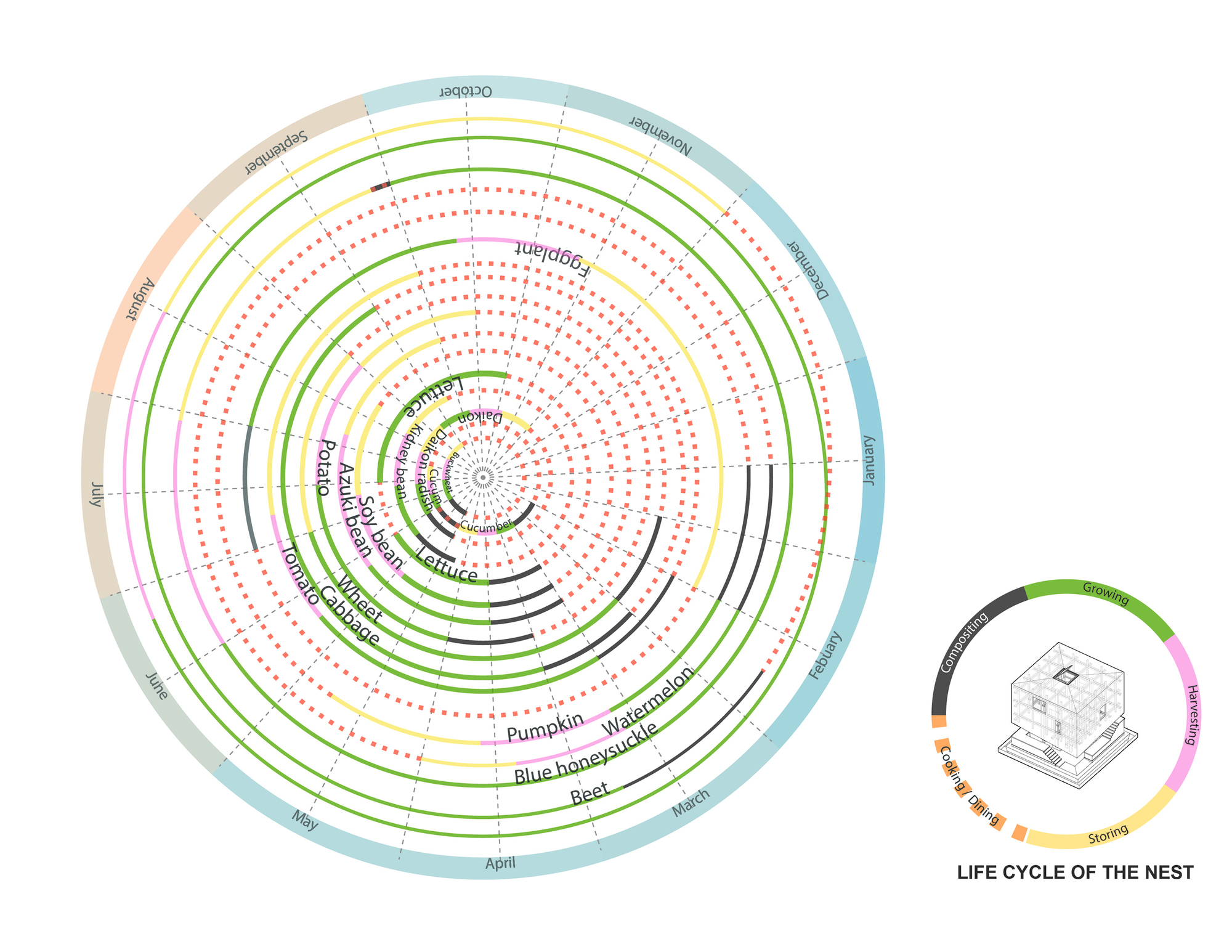 Gallery of 30 Graphs and Charts to Boost Your Visual Presentations - 6