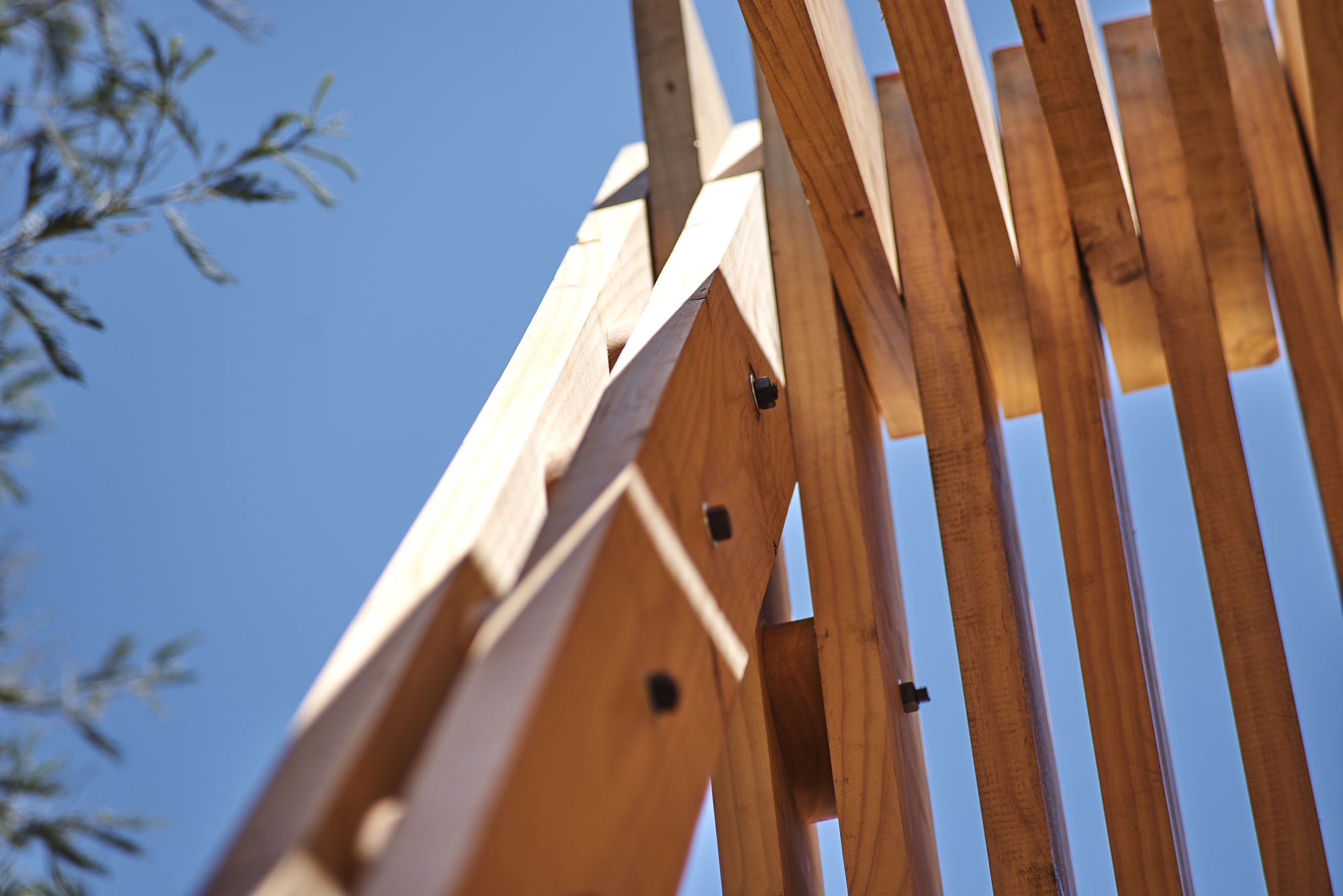 Gallery of Continuity of Structure Defines this Timber Canopy in Chile - 6