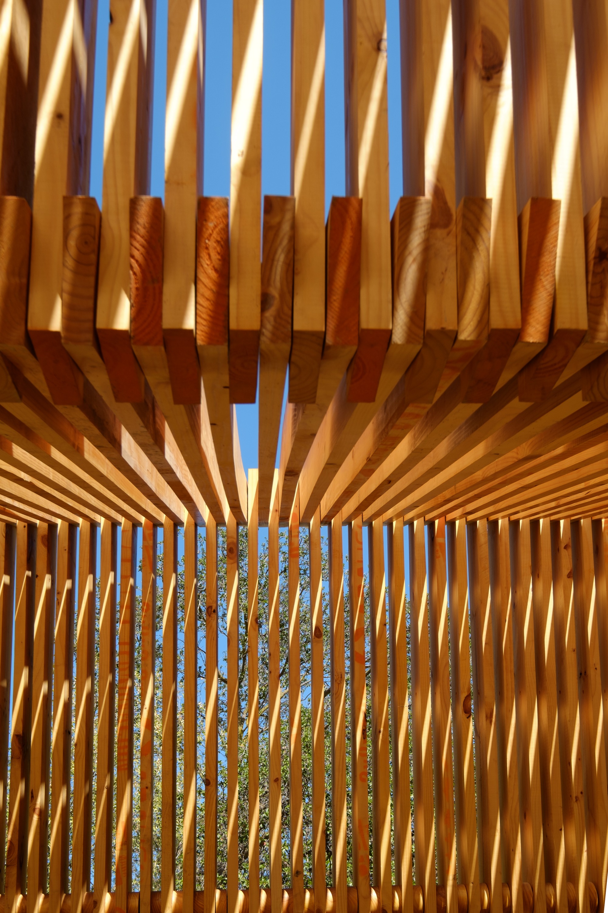 Gallery of Continuity of Structure Defines this Timber Canopy in Chile - 19