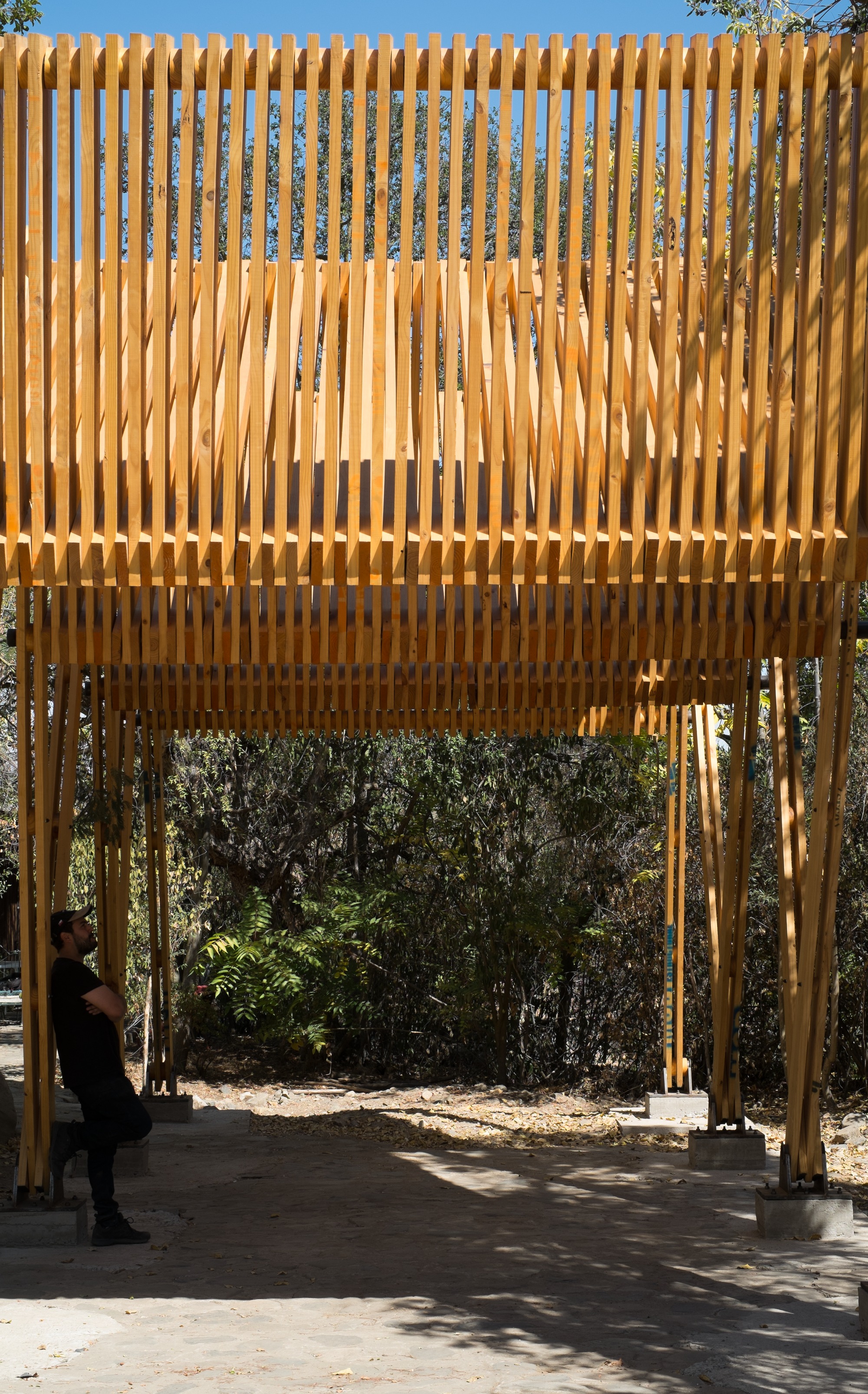 Gallery of Continuity of Structure Defines this Timber Canopy in Chile - 16