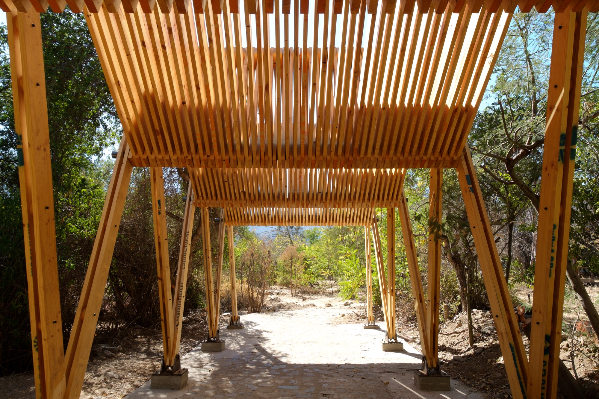 Gallery of Continuity of Structure Defines this Timber Canopy in Chile - 20
