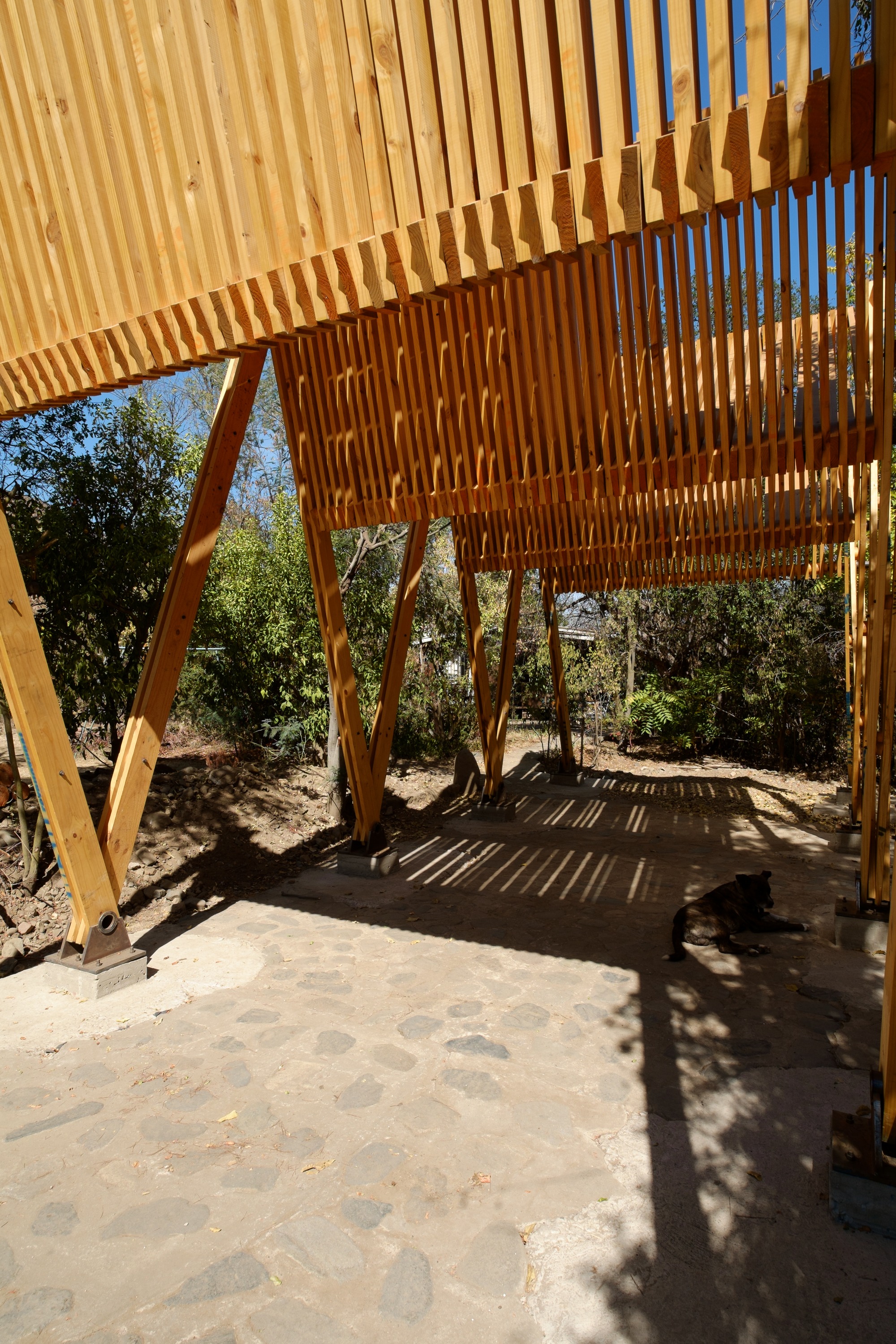 Gallery of Continuity of Structure Defines this Timber Canopy in Chile - 12