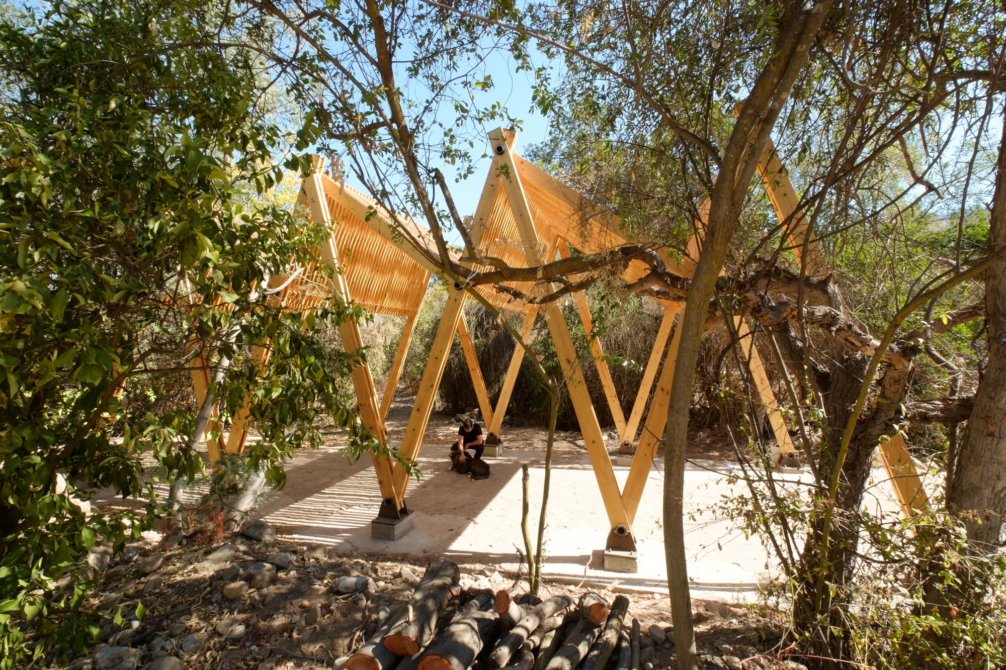 Gallery of Continuity of Structure Defines this Timber Canopy in Chile - 10