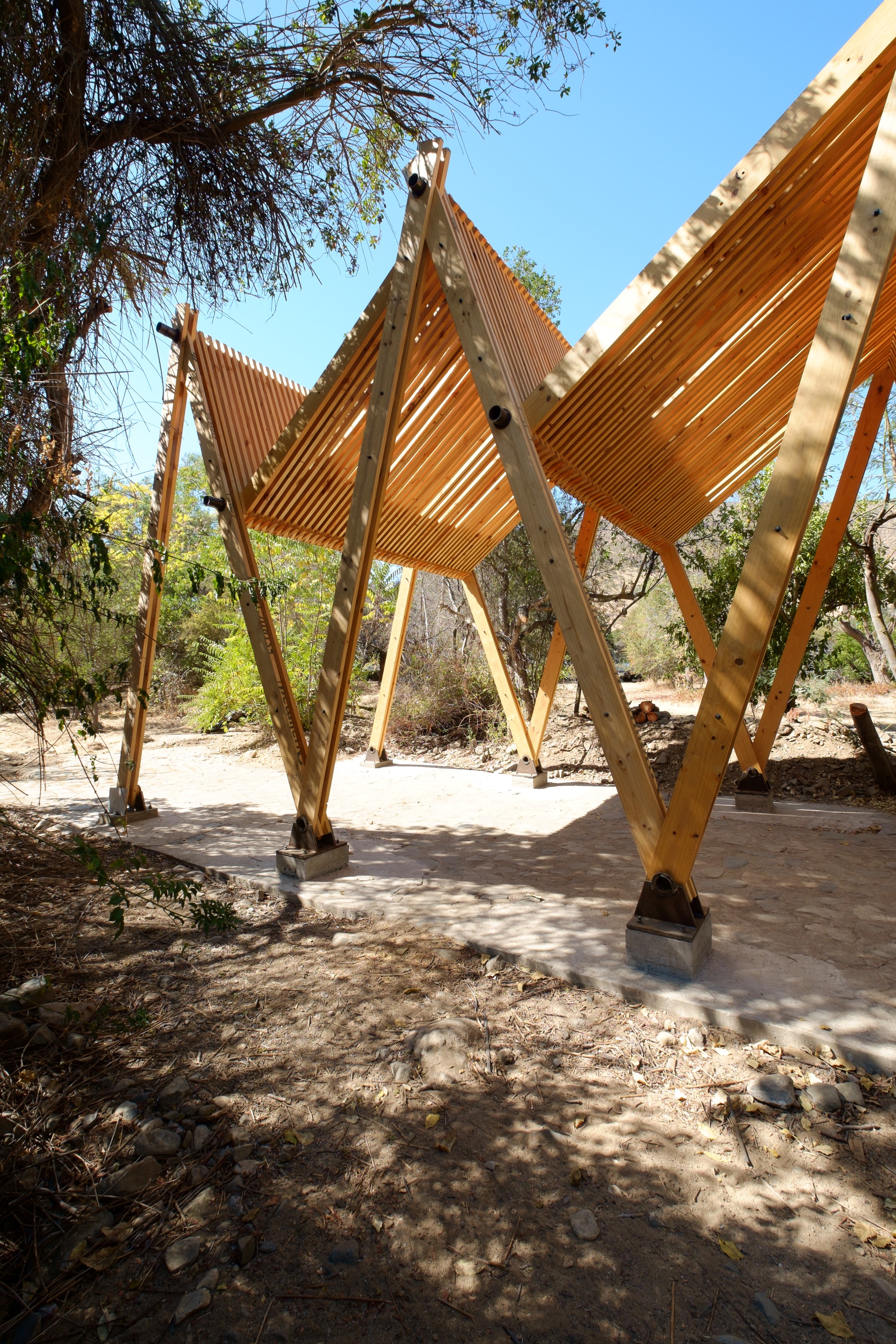 Gallery of Continuity of Structure Defines this Timber Canopy in Chile - 14