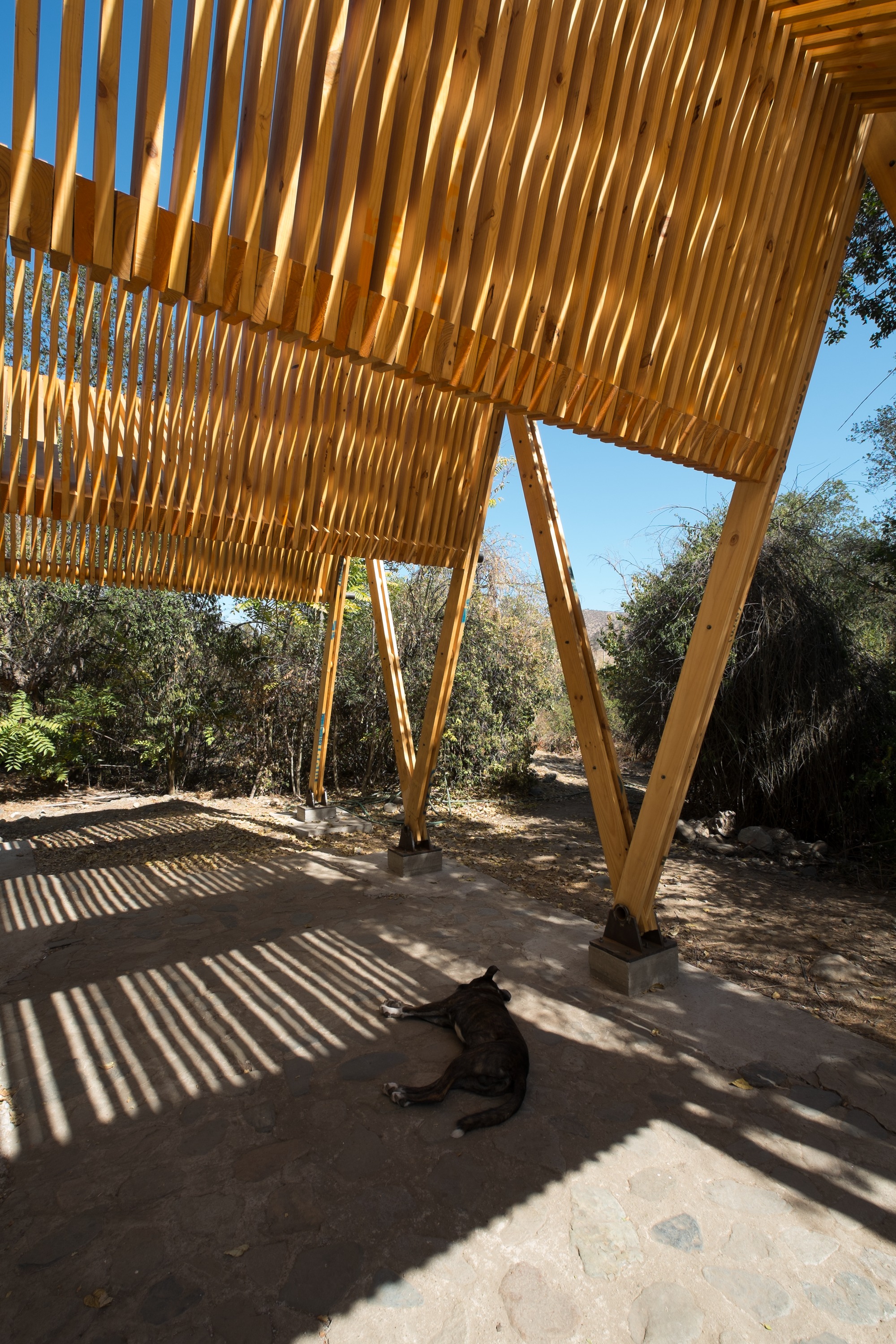 Gallery of Continuity of Structure Defines this Timber Canopy in Chile - 13