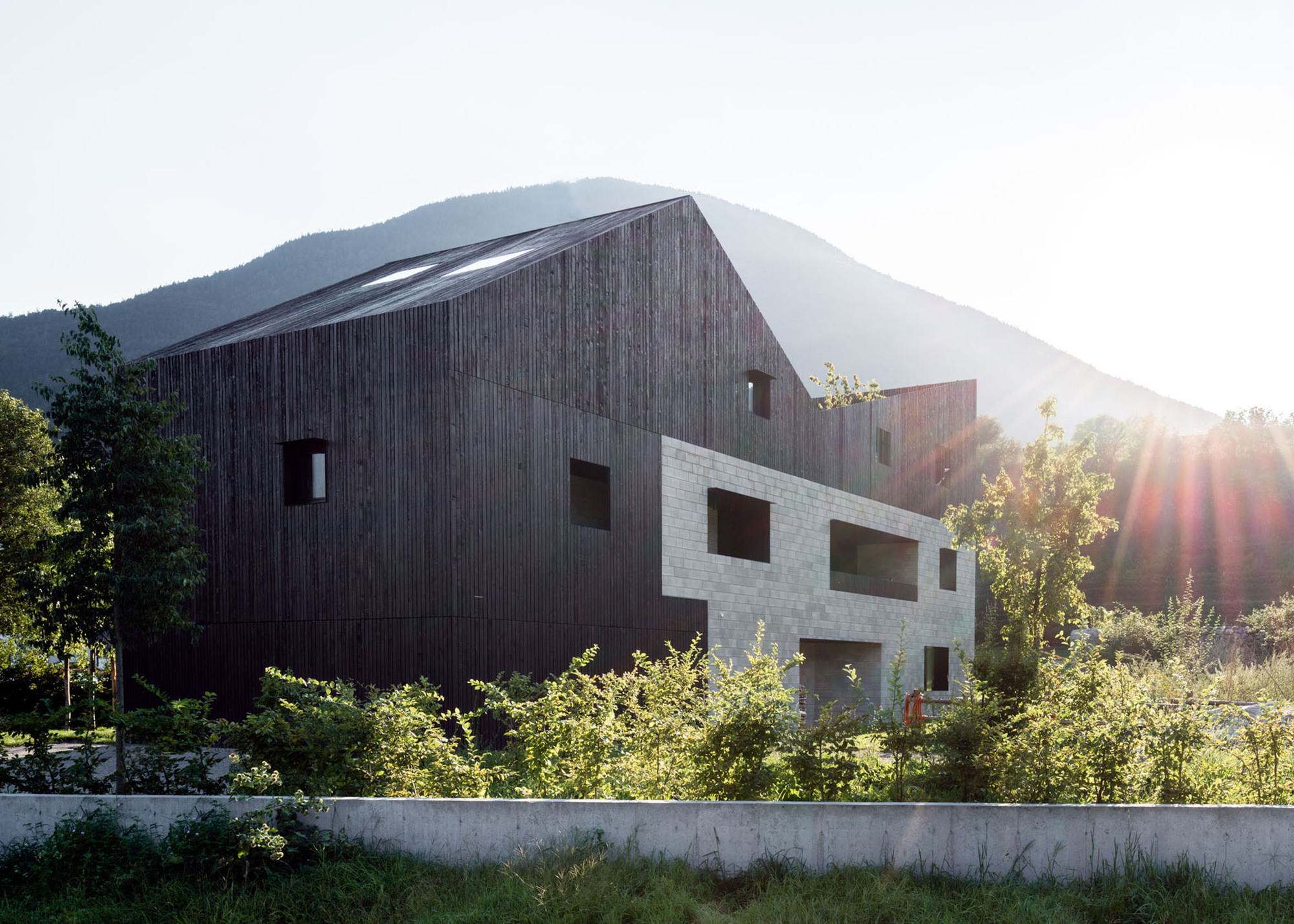 Rooftops Twin House H / bergmeisterwolf architekten | ArchDaily