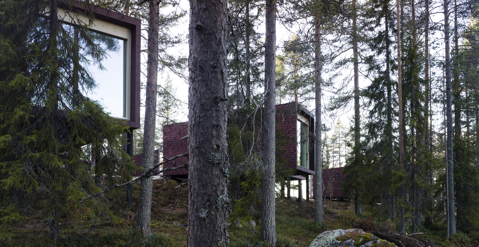 Gallery of Arctic TreeHouse Hotel / Studio Puisto - 13
