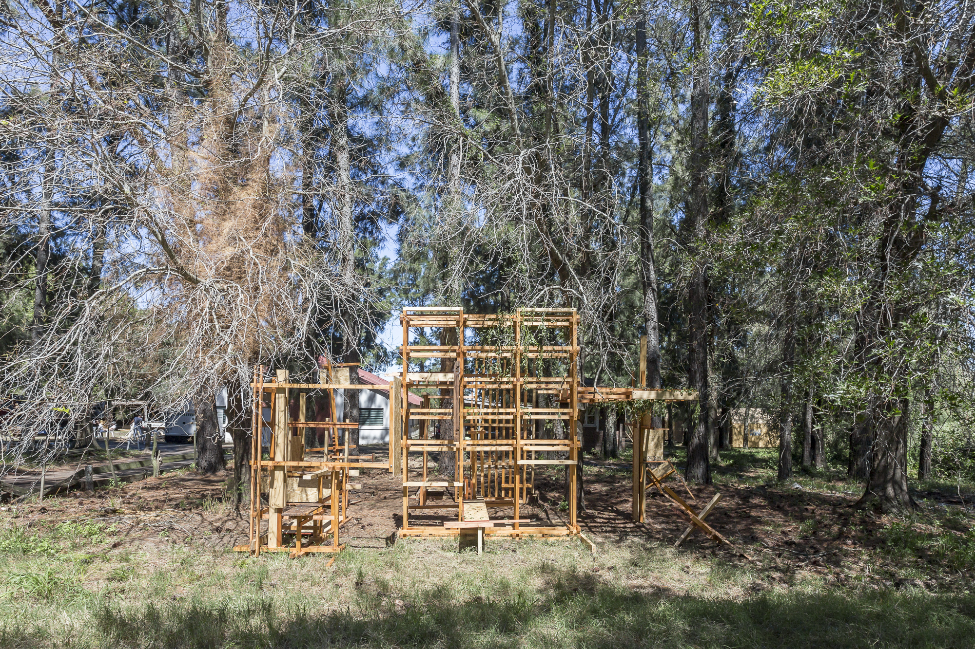 Gallery of Students Construct Timber Structures in the Argentinian ...