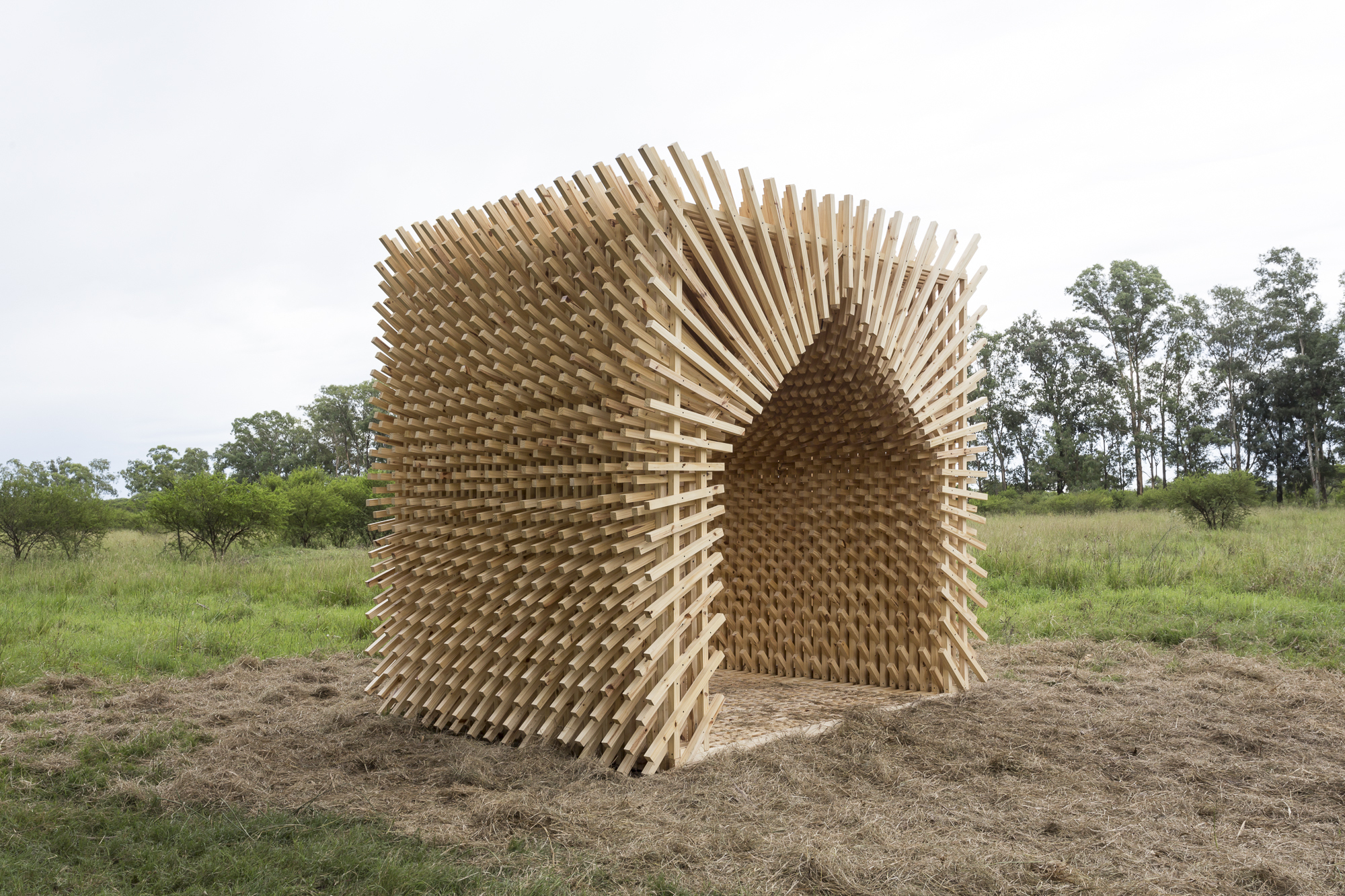 Gallery of Students Construct Timber Structures in the Argentinian ...
