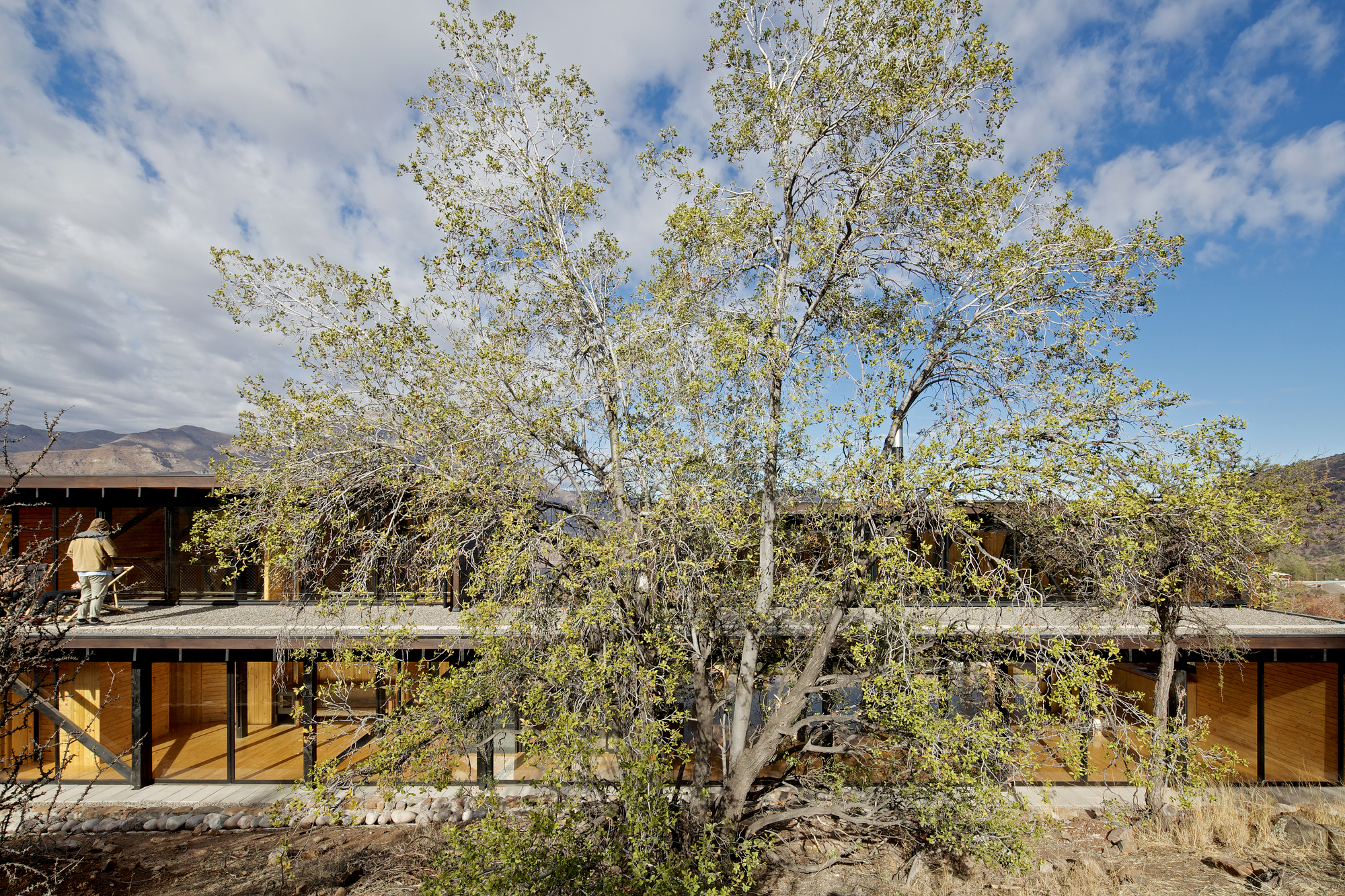 Gallery of Alto San Francisco House / CAW Arquitectos - 13