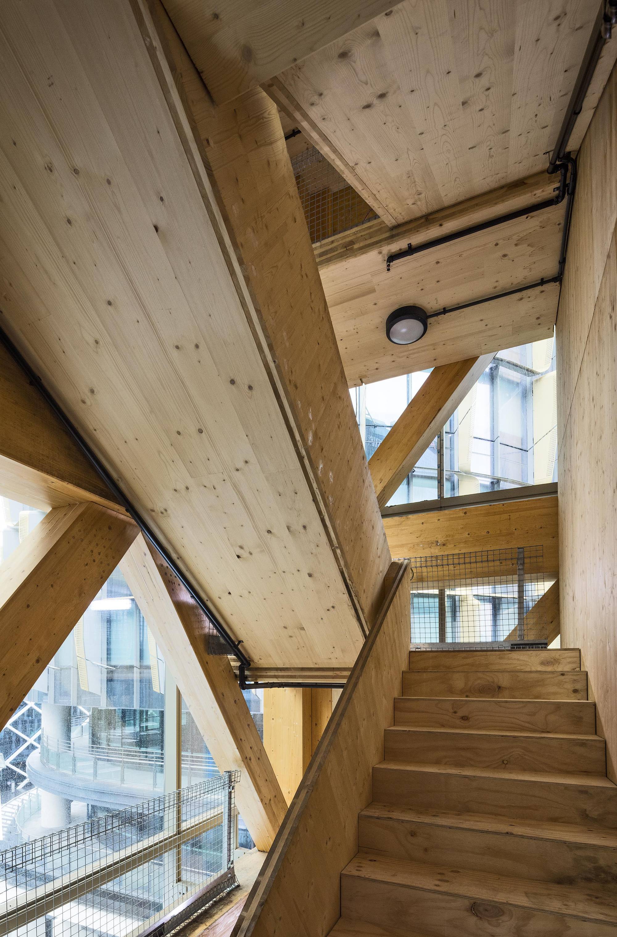 Gallery of International House / TZANNES - 2