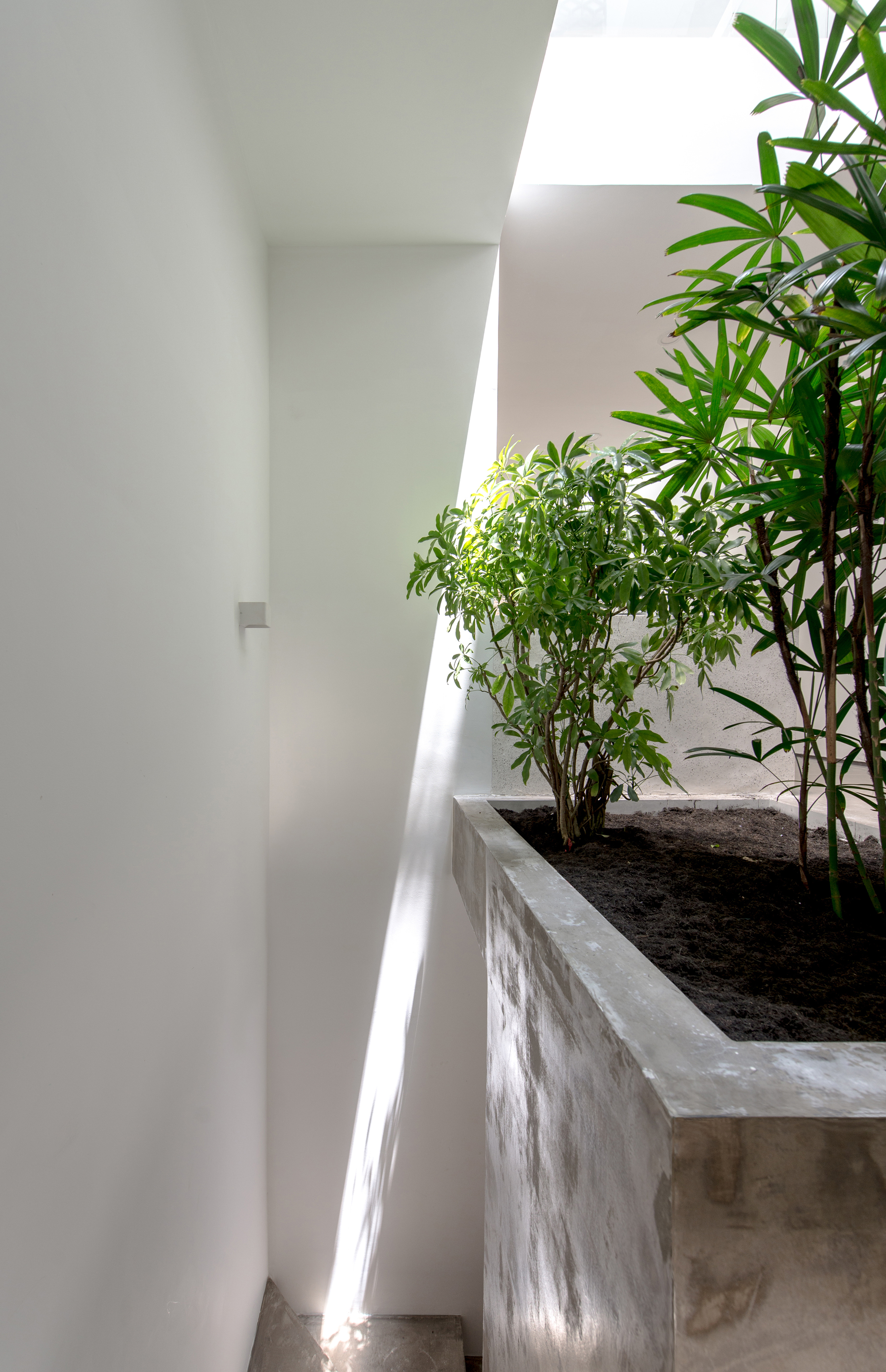 Gallery of Backyard House / AD+studio - 16