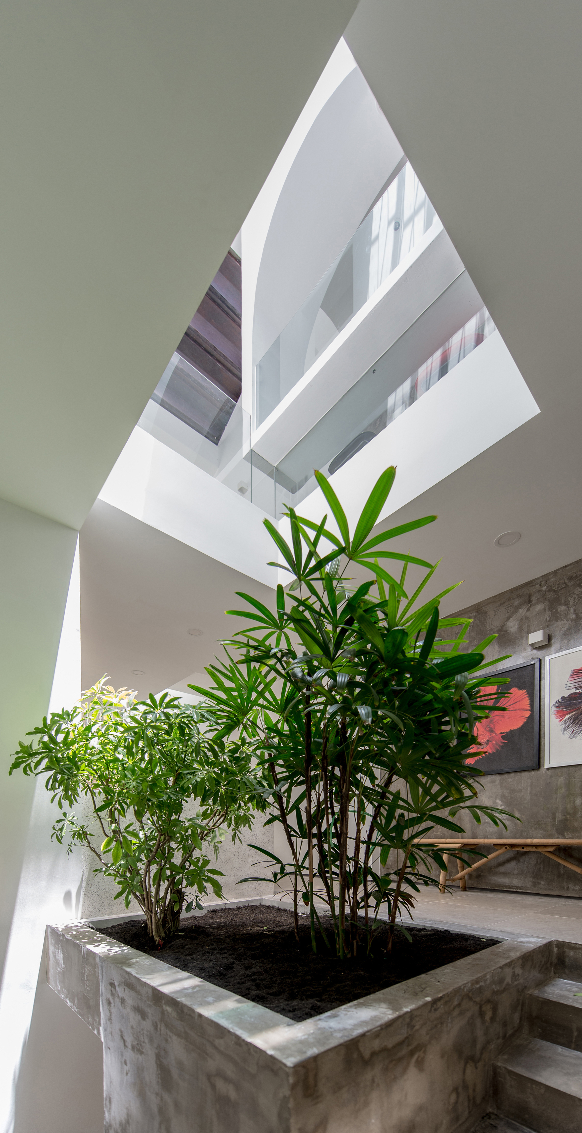 Gallery of Backyard House / AD+studio - 11