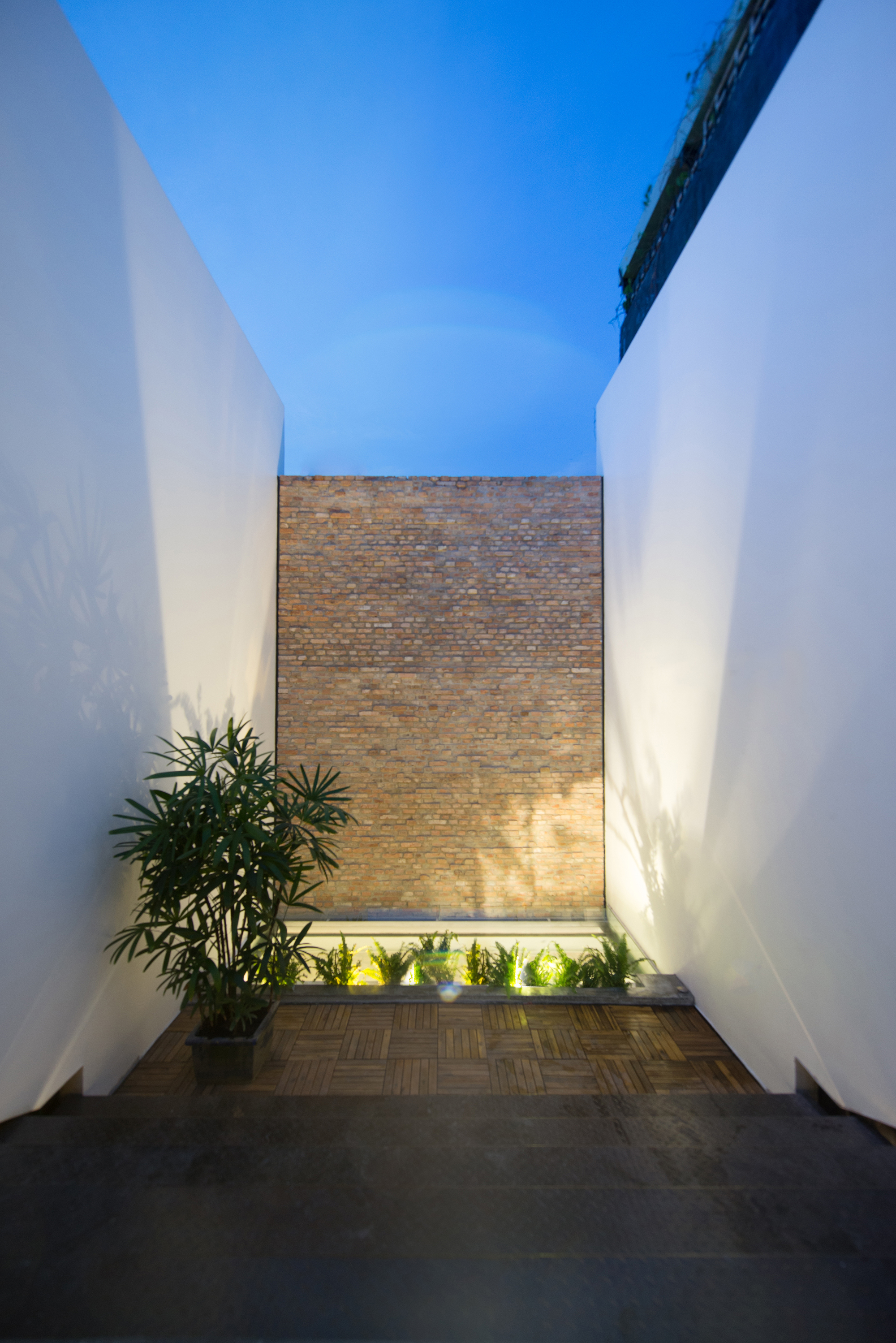 Gallery of Backyard House / AD+studio - 17