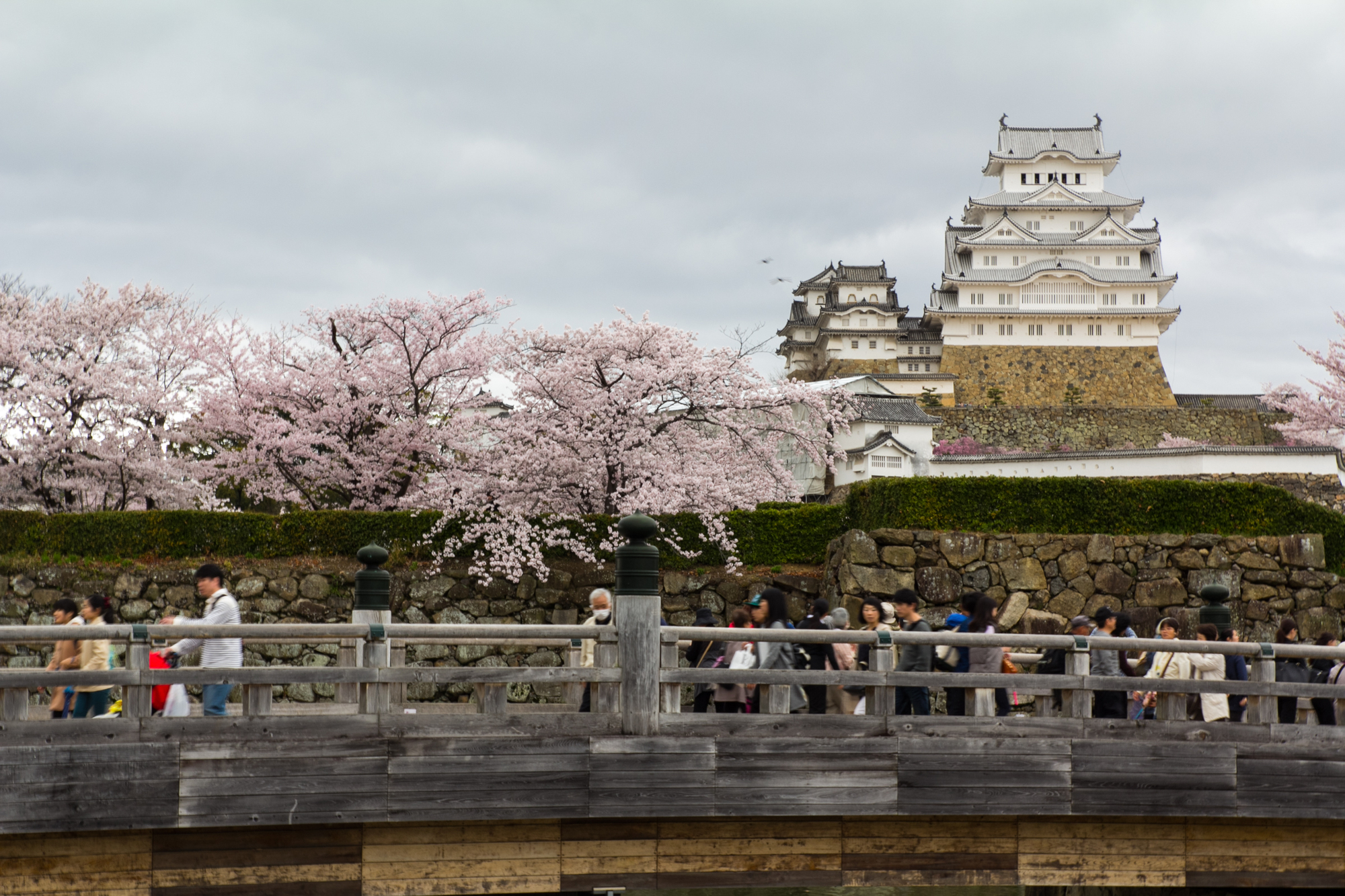 Gallery of AD Classics: Himeji Castle / Ikeda Terumasa - 13