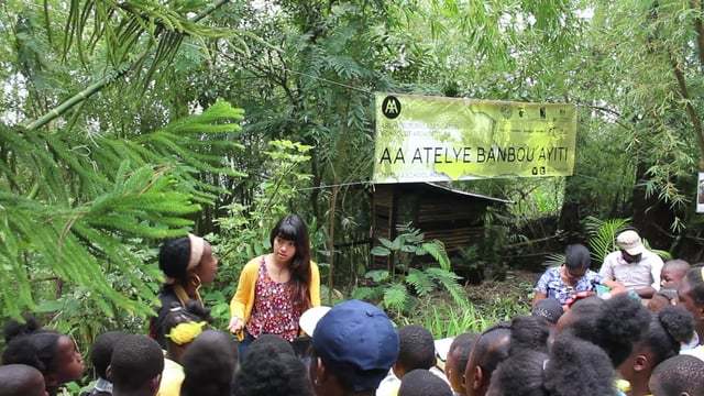 Gallery of AAVS Bamboo Lab - Haiti - 2