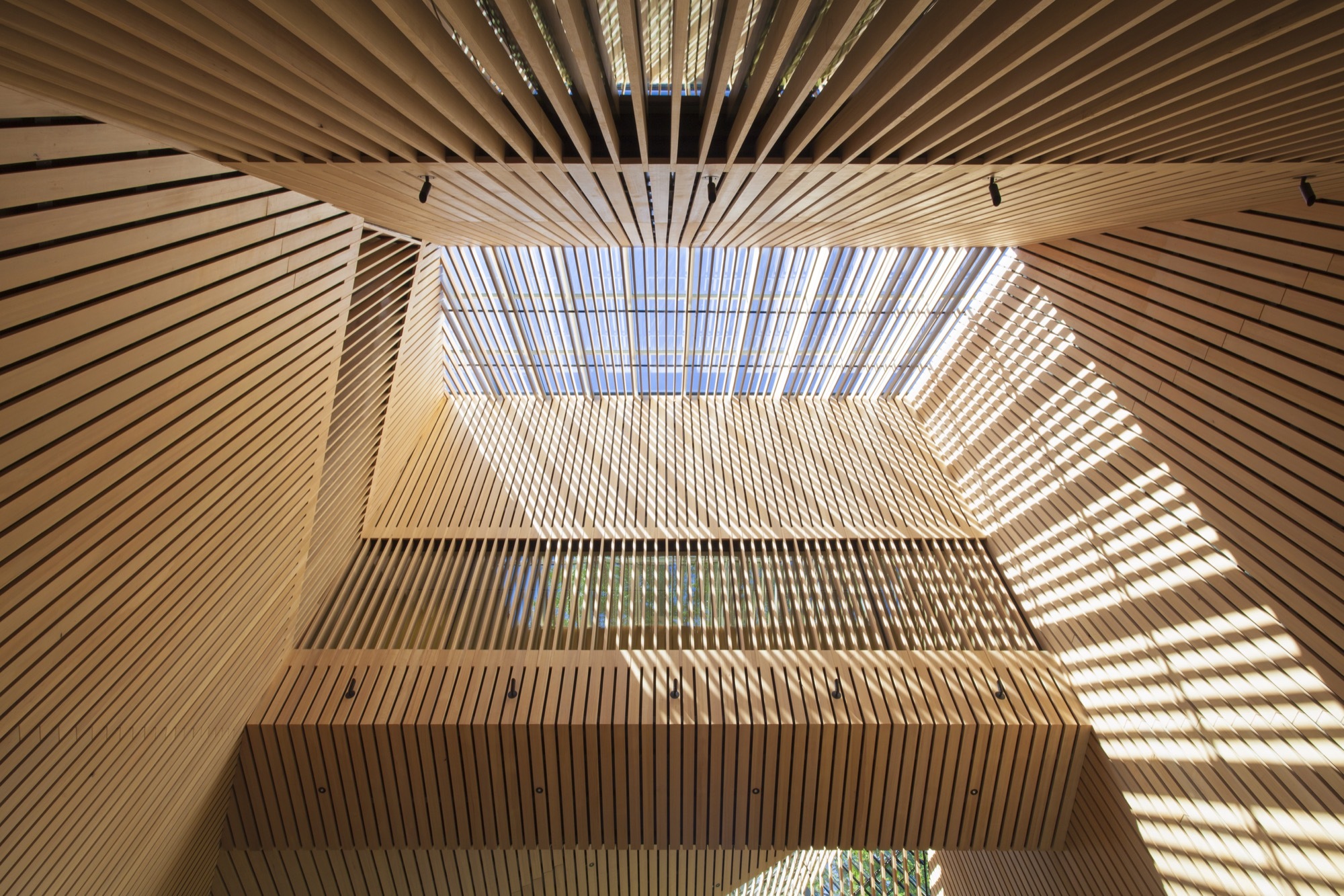 Gallery of Audain Art Museum / Patkau Architects - 9