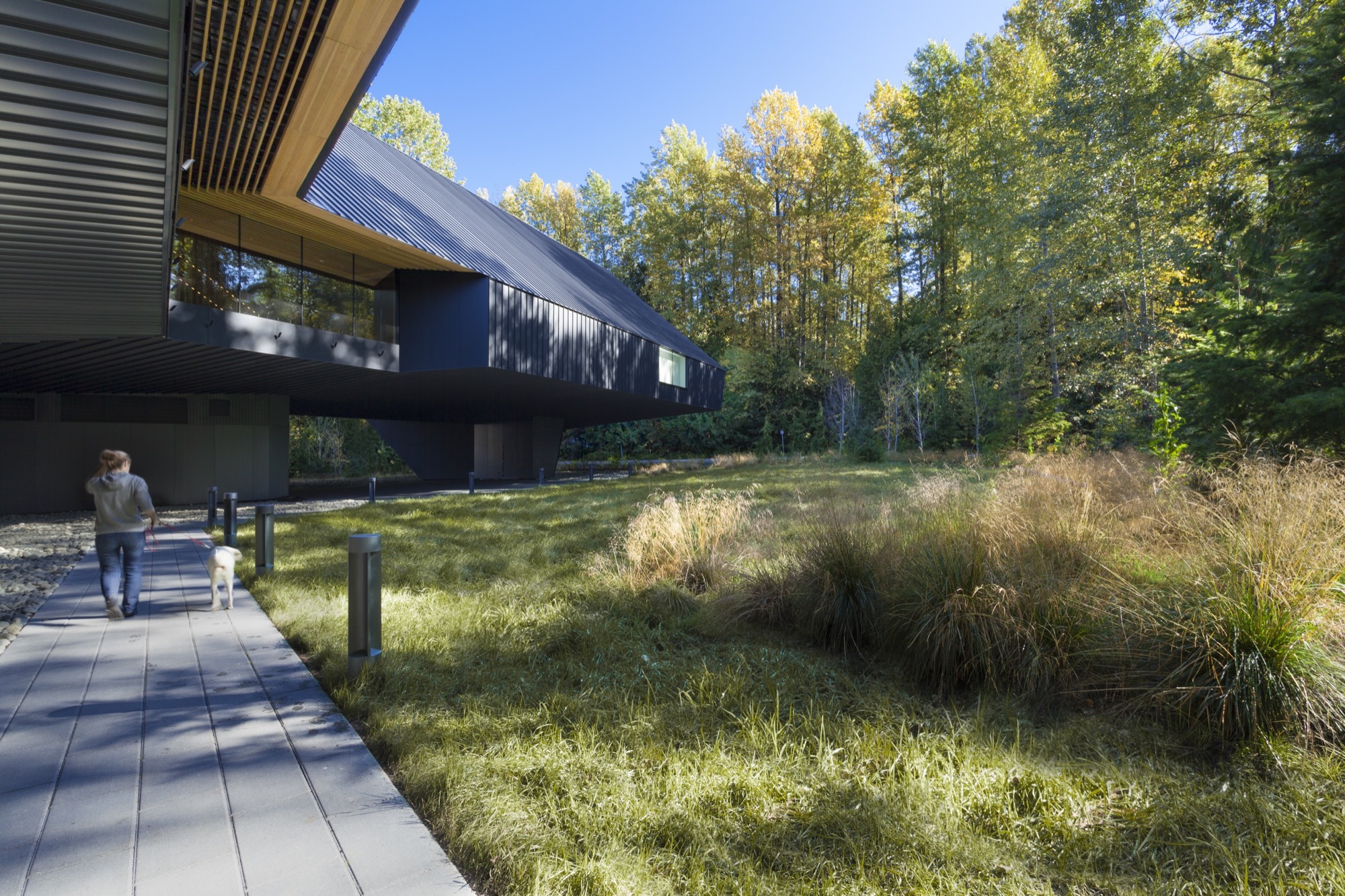 Gallery of Audain Art Museum / Patkau Architects - 29