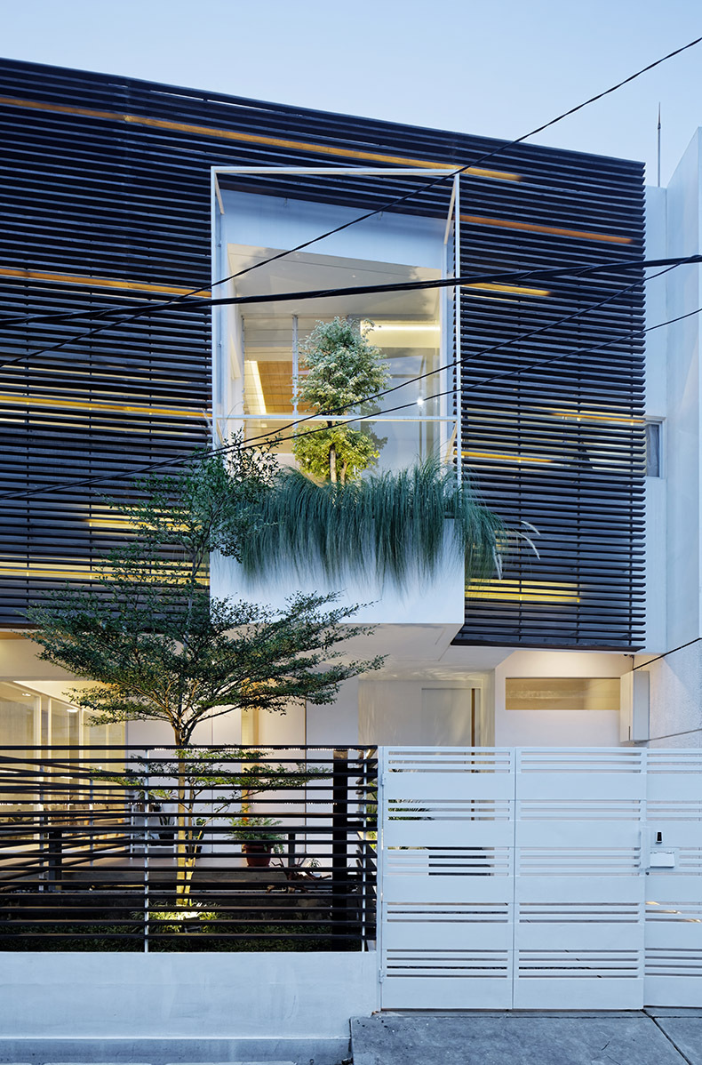 Gallery of Inset House / DELUTION - 25