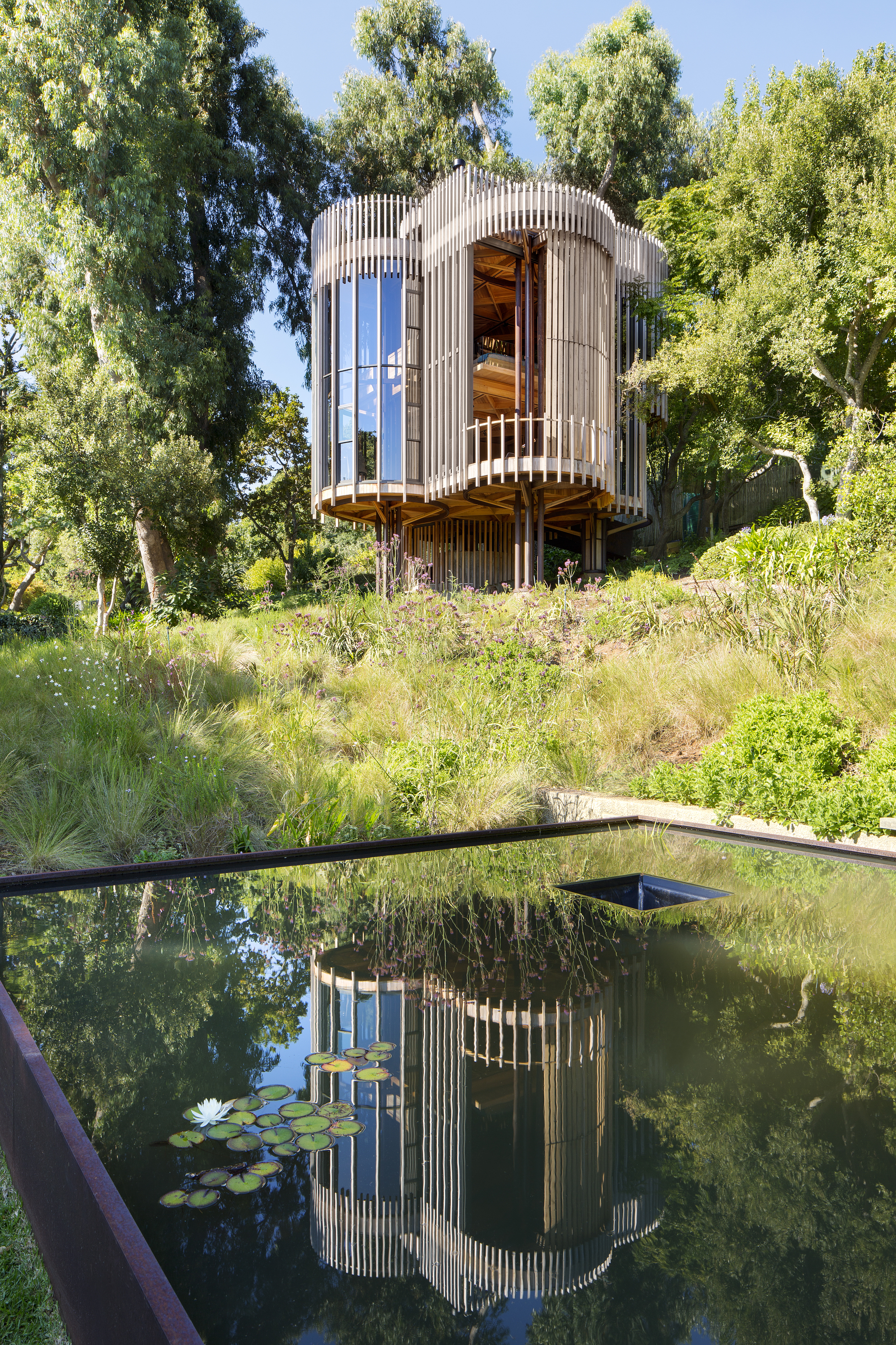 Gallery of Tree House / Malan Vorster Architecture Interior Design - 17